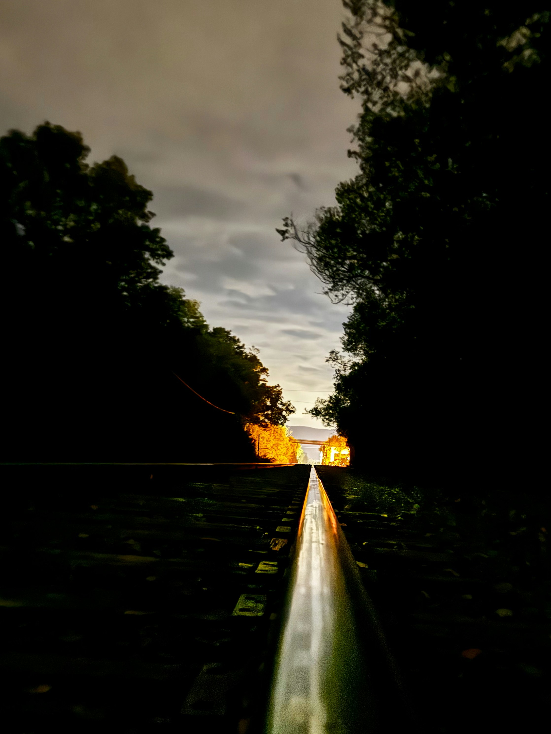 Whispers of the Night Train
