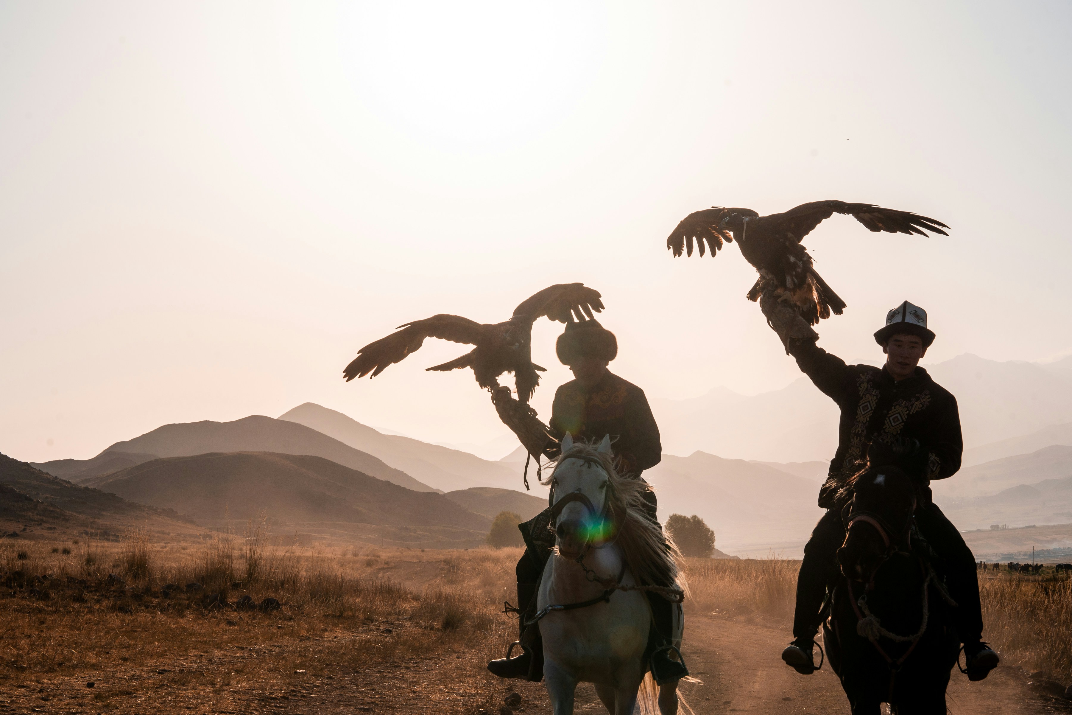 Desert Dusk: Two Horsemen and Birds in Silent Flight