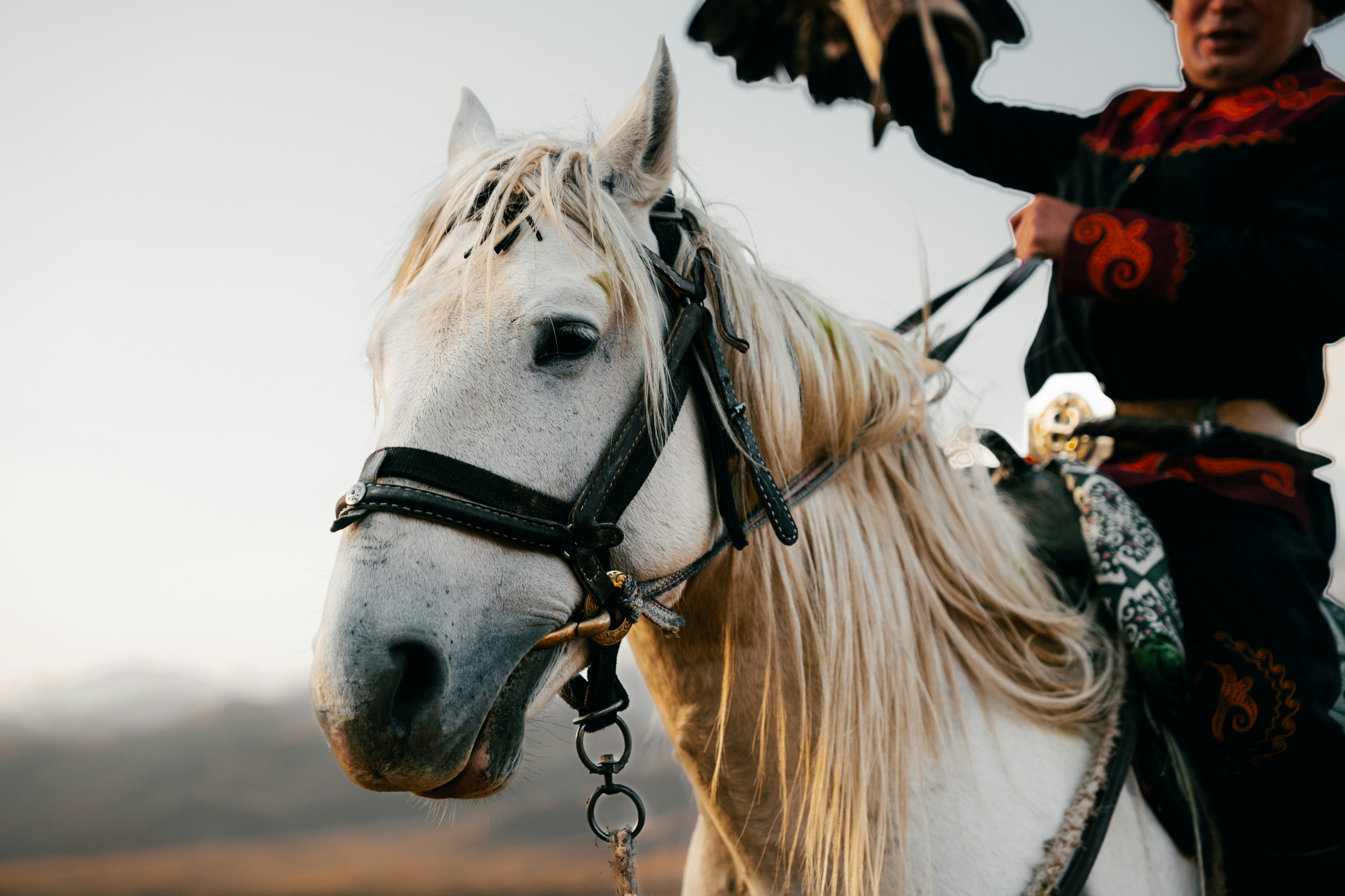 Photo by Spenser Sembrat with Sony Alpha 7 IV