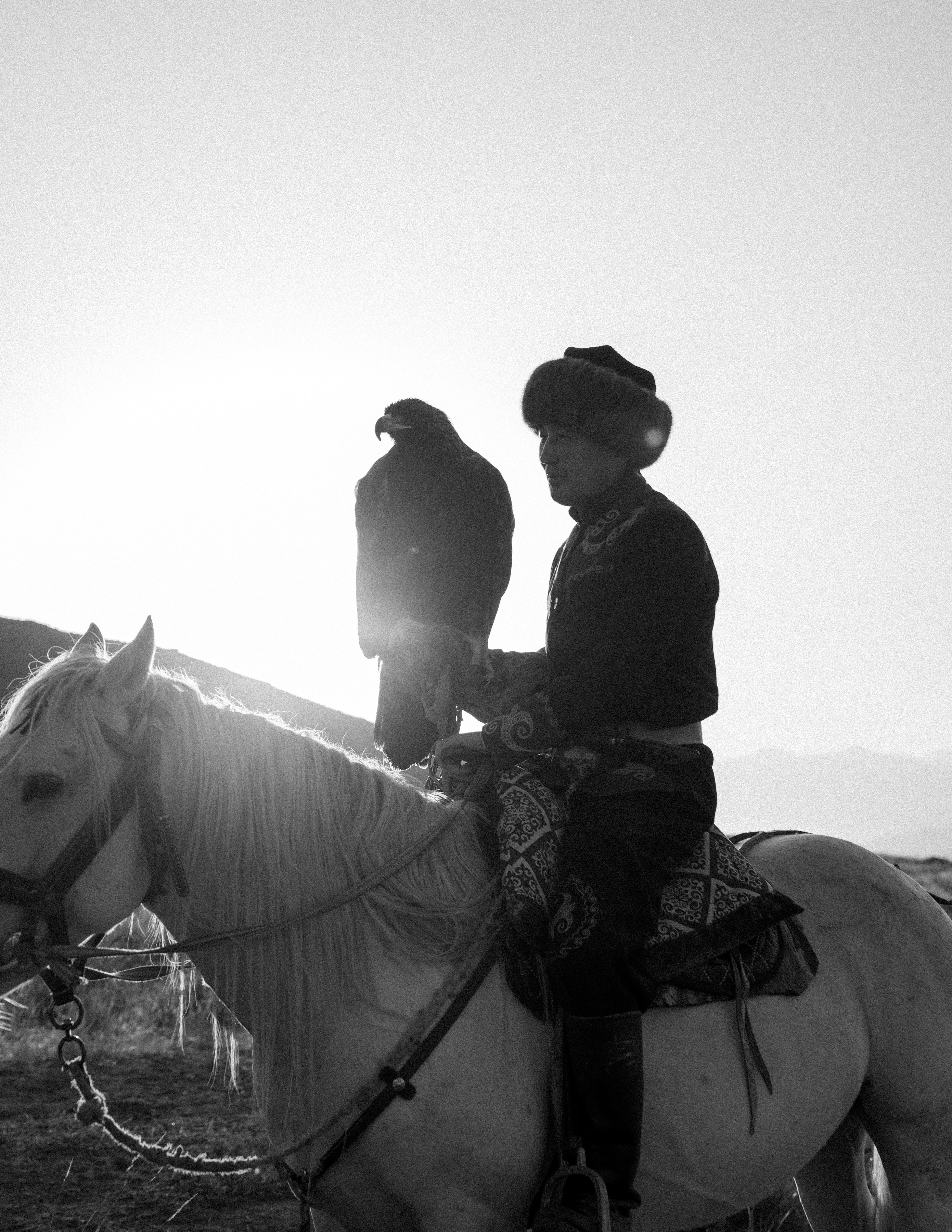 The Falconer's Gaze: A Moment in Time