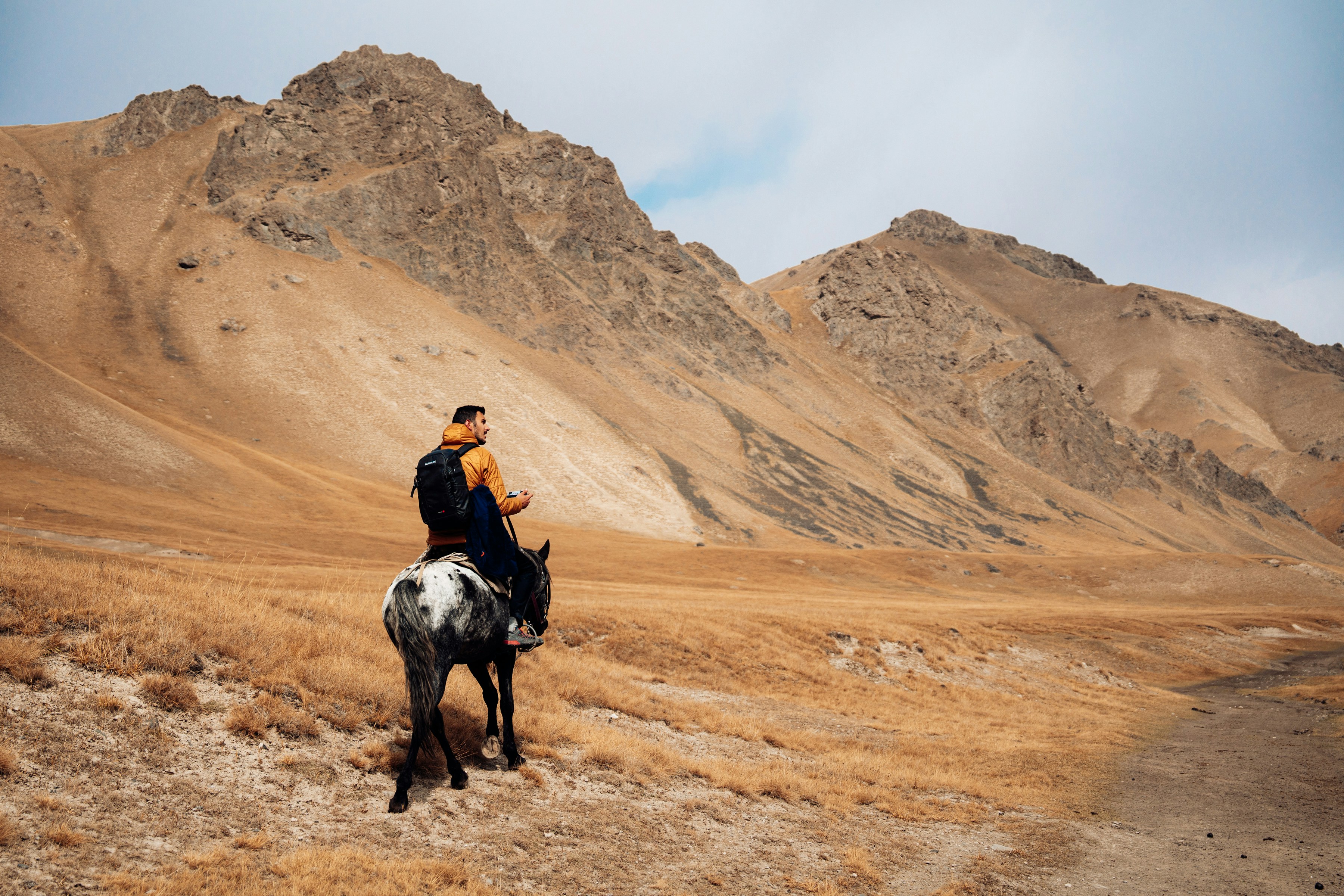 A rider on a horse traverses the golden plains beneath rugged mountains, embodying the spirit of adventure and exploration.