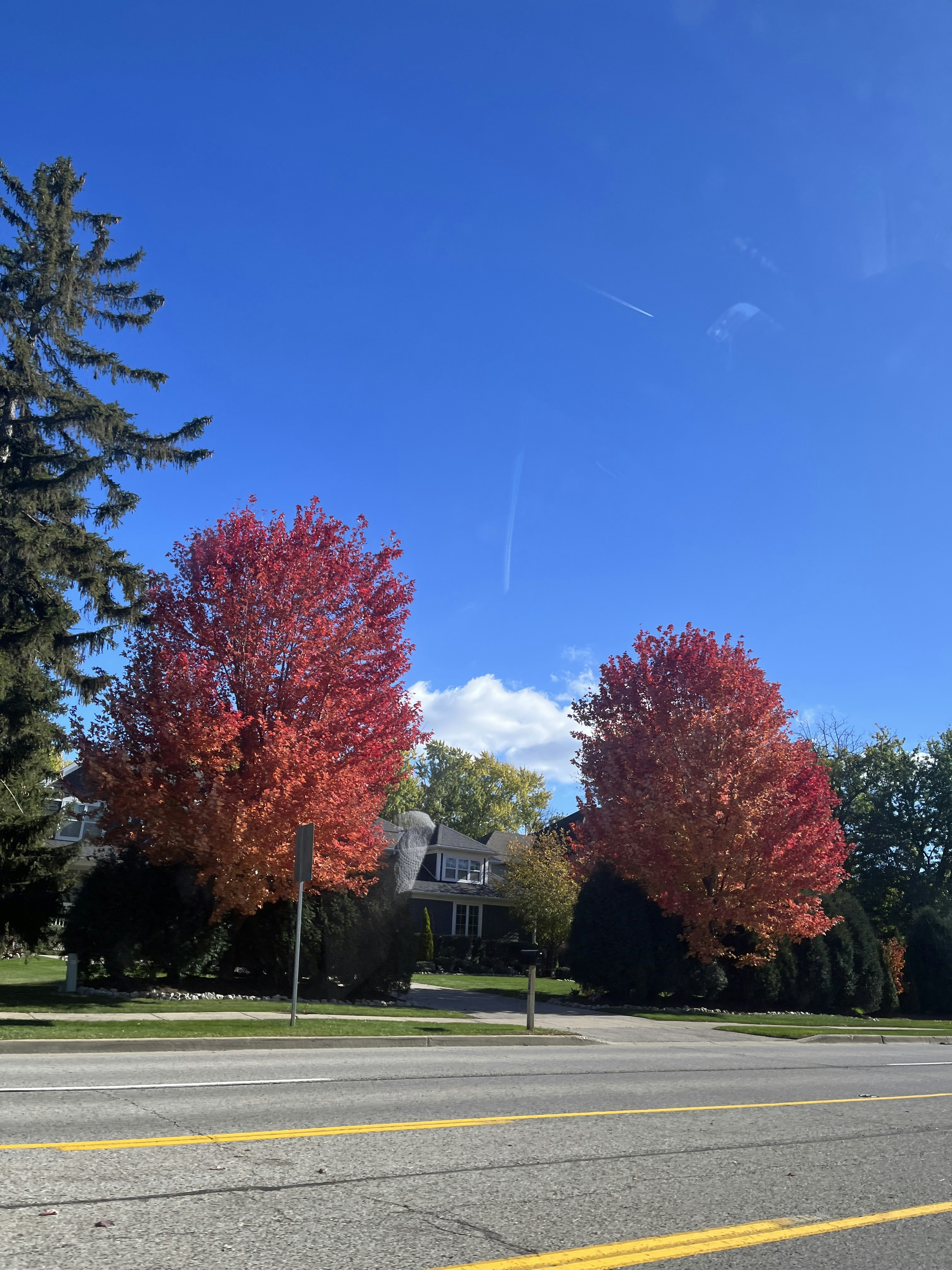 Fall Foliage photo shot on Apple iPhone 13