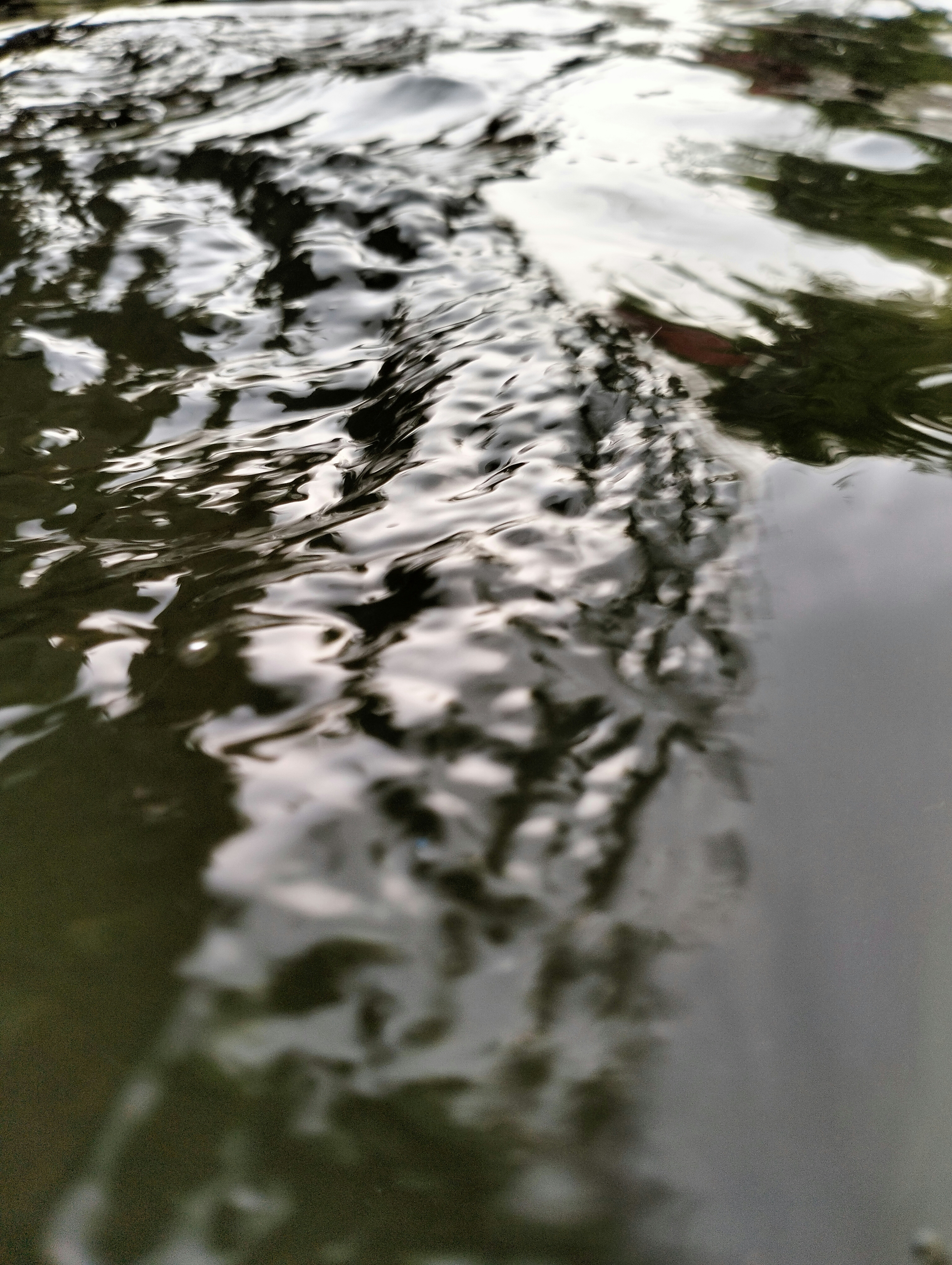 Ripples on the surface of dark water