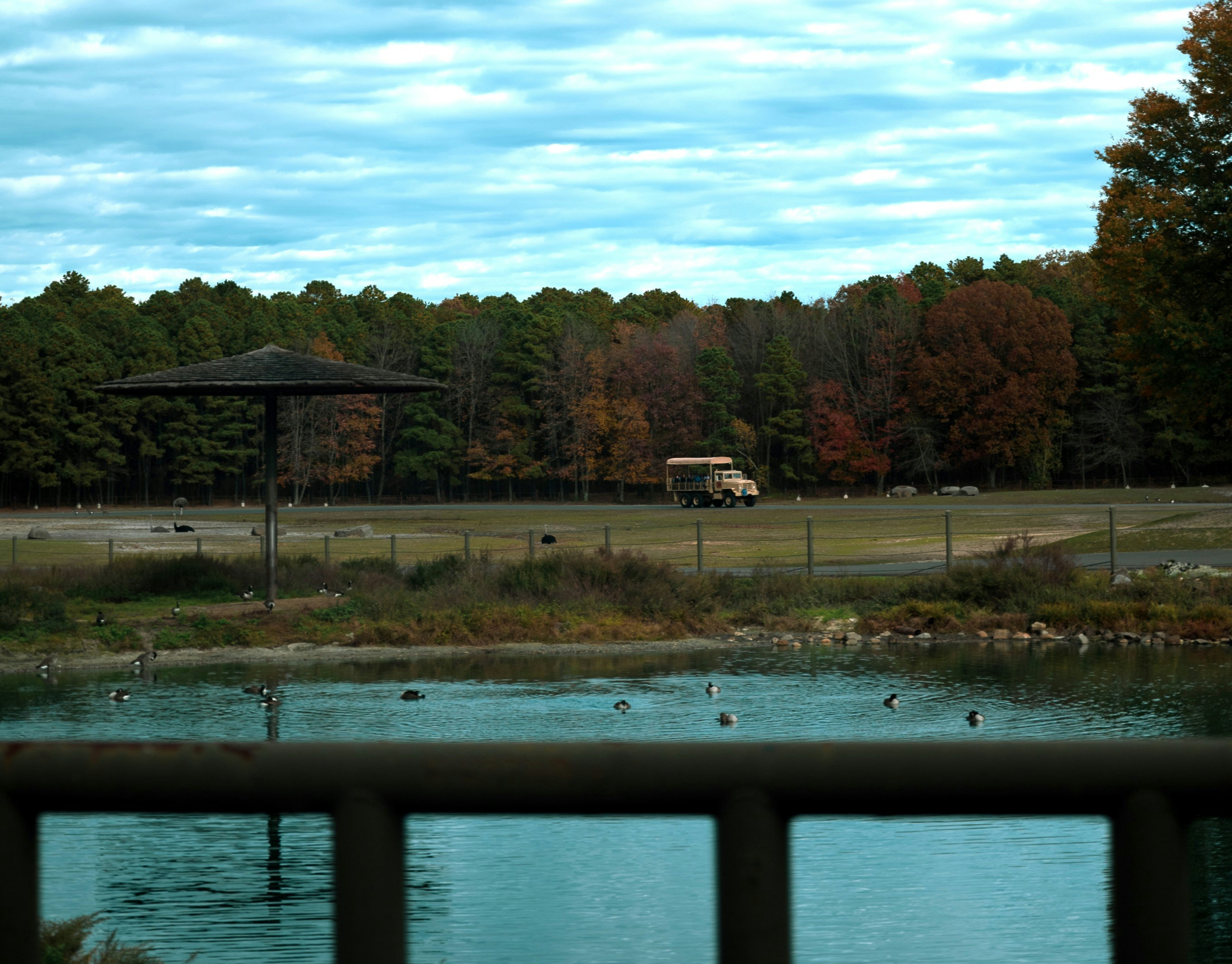 Autumn Quiet by the Lake: Distant Bus in a Park Vista