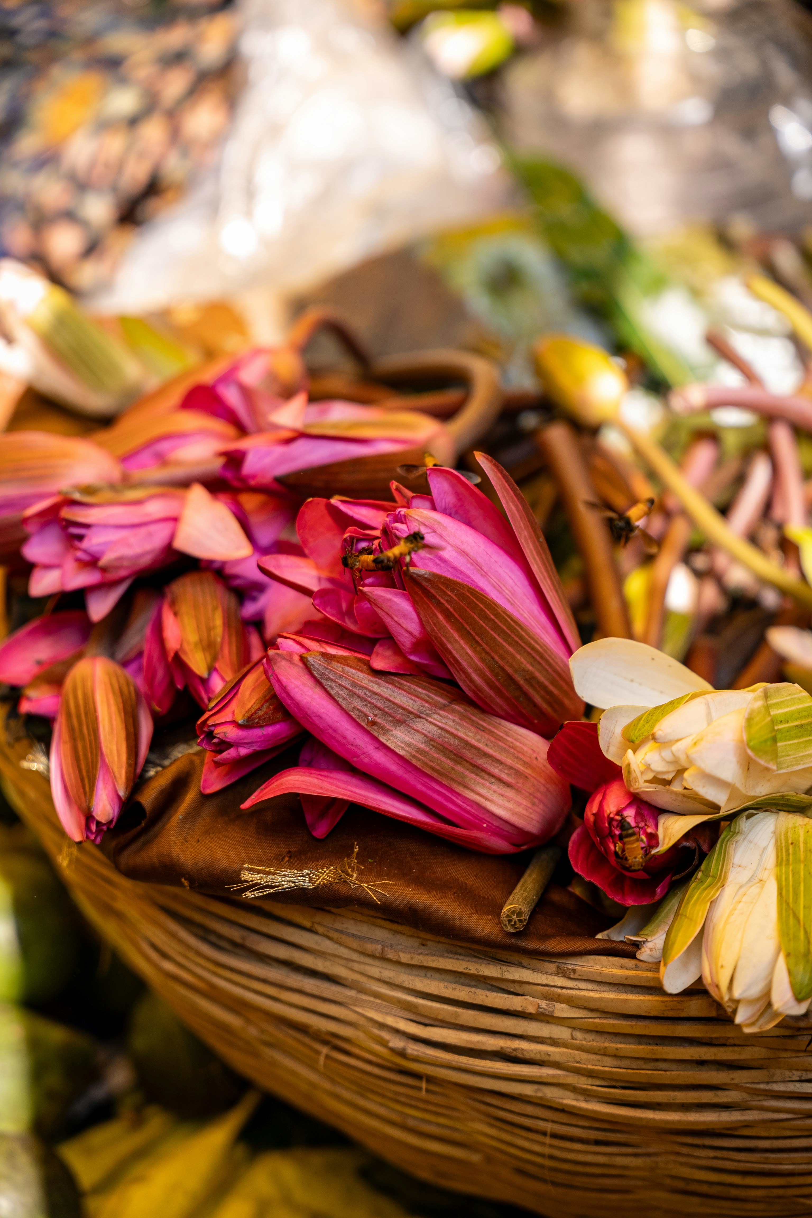 A colorful assortment of pink and white flowers arranged in a woven basket, showcasing the beauty of local flora. The scene captures the essence of a bustling market environment.