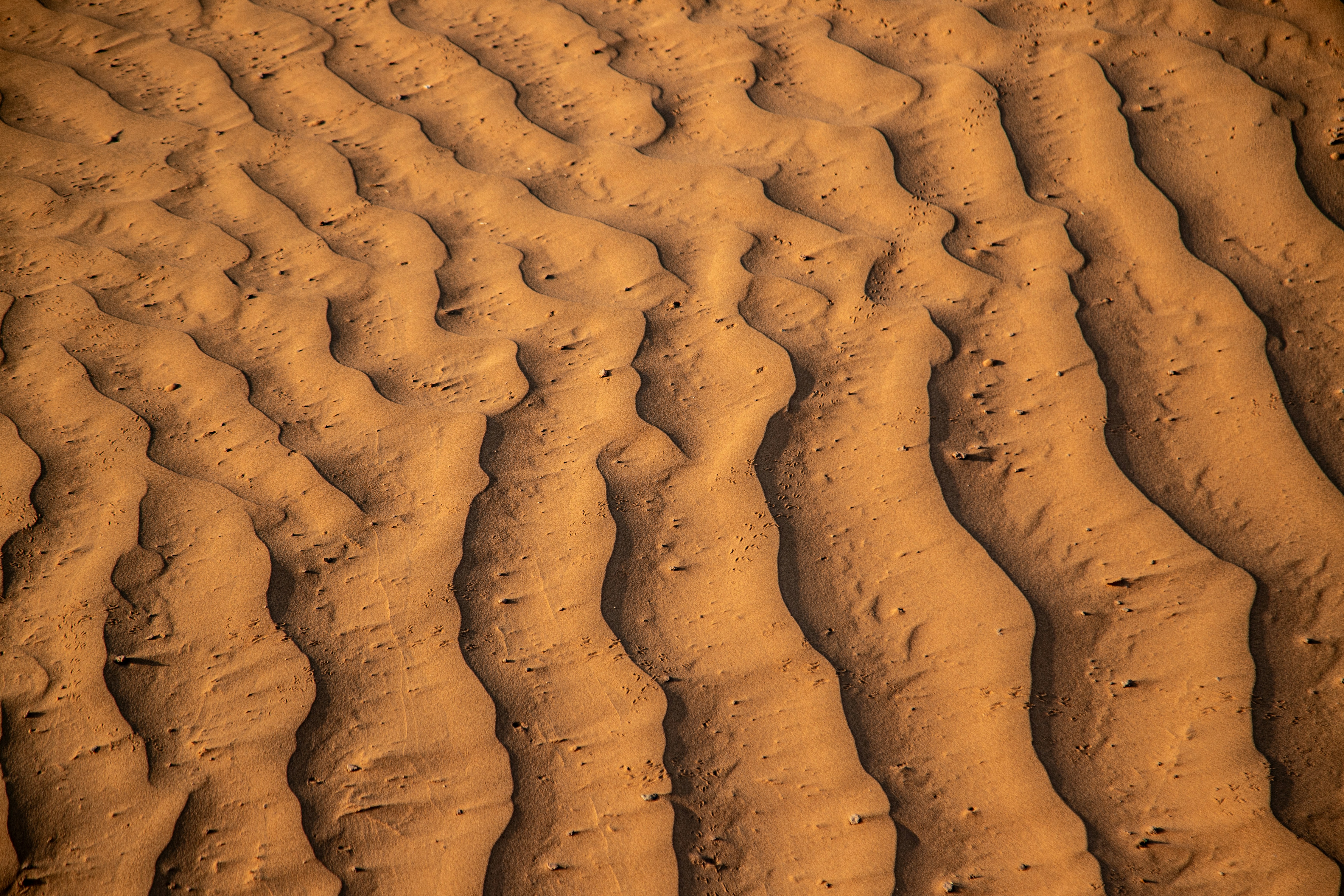 Ripples of Time: The Story of Shifting Sands