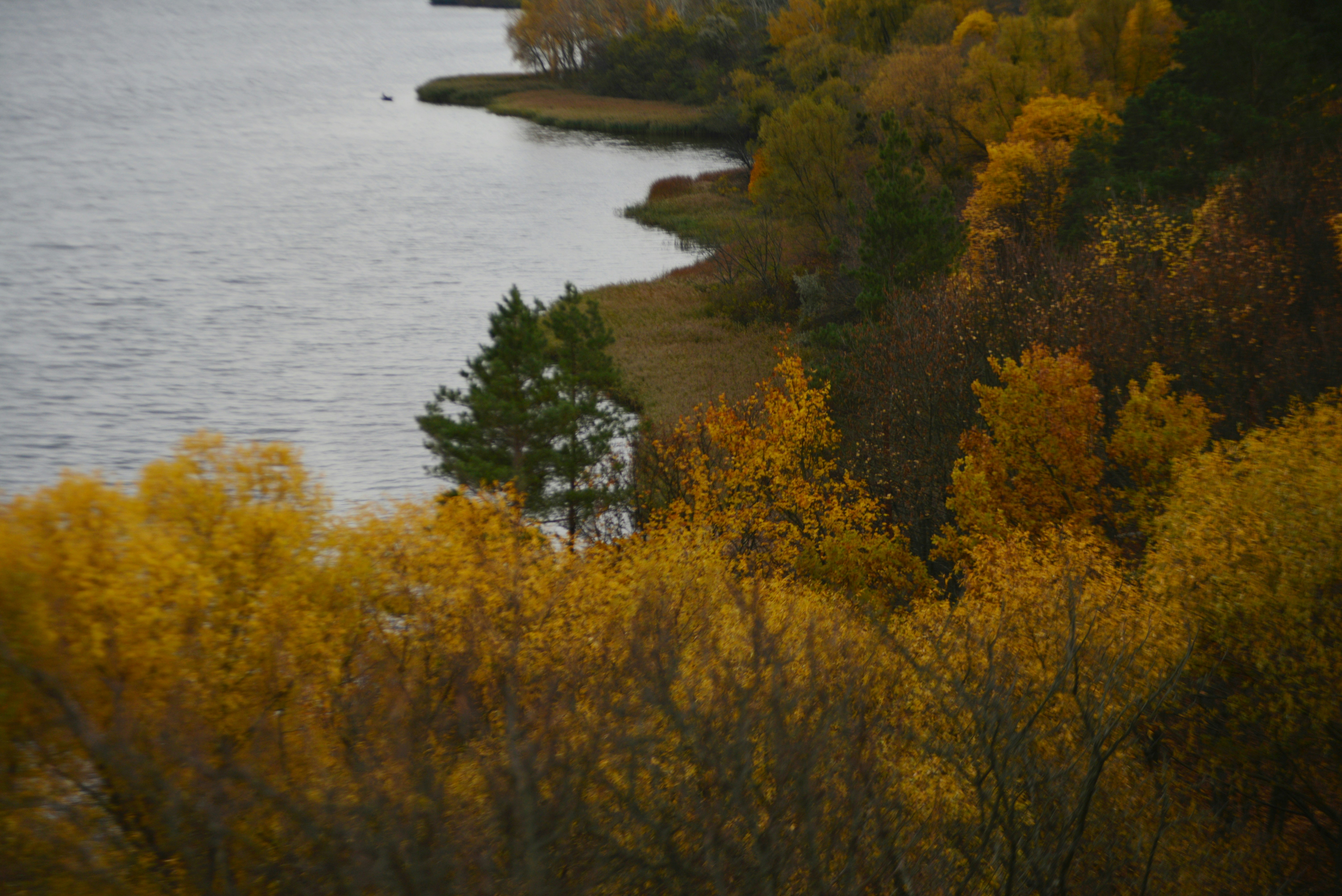 Autumn's Whisper by the Water's Edge