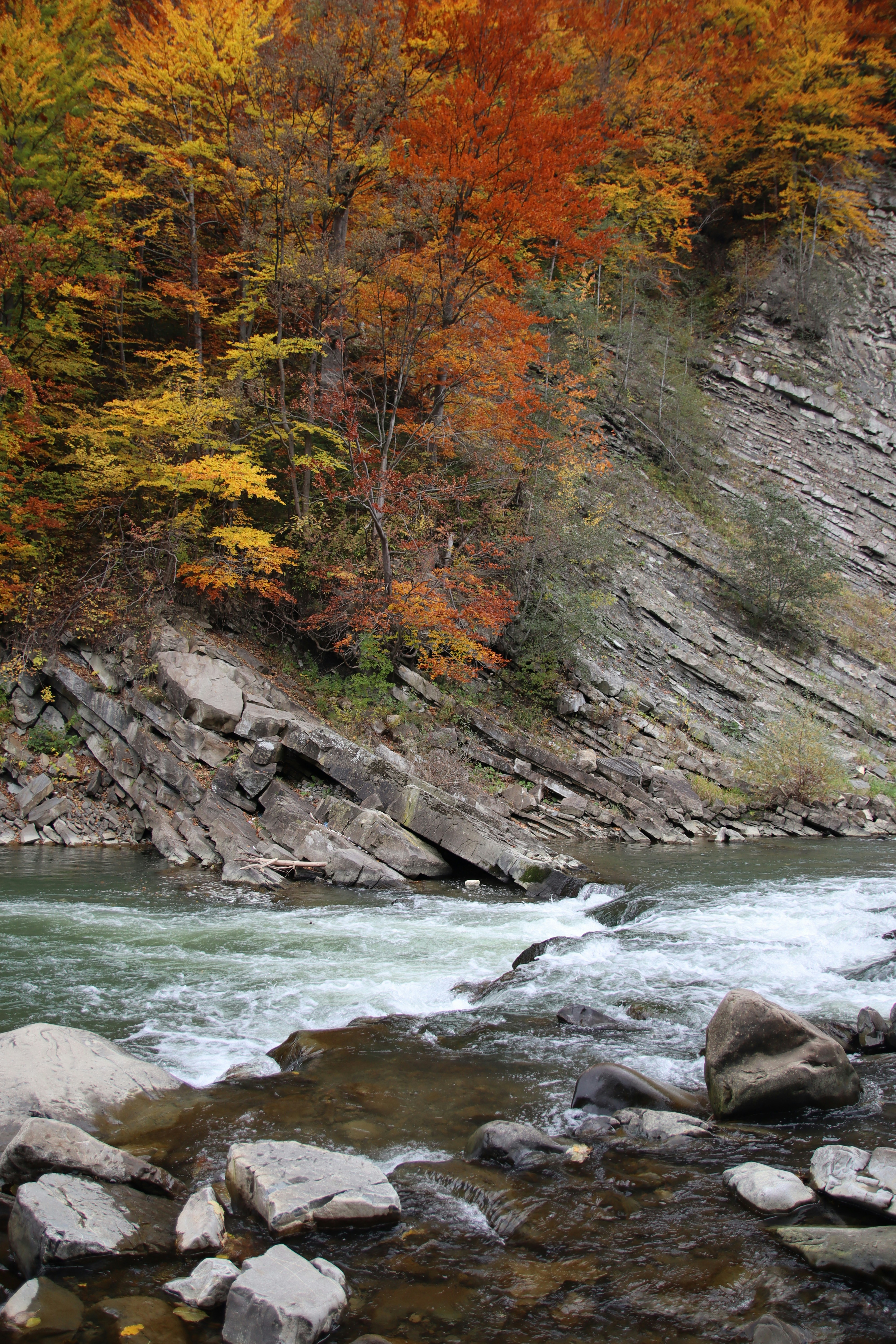 Autumn's Embrace at the Riverbank