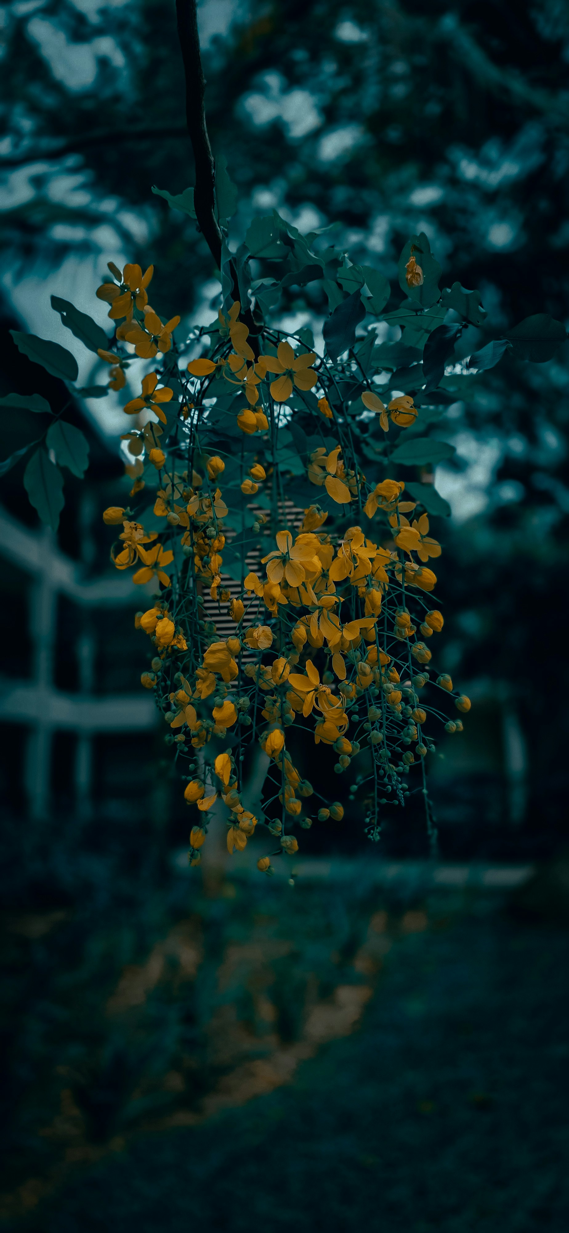 Golden Cascade of Nature's Artistry
