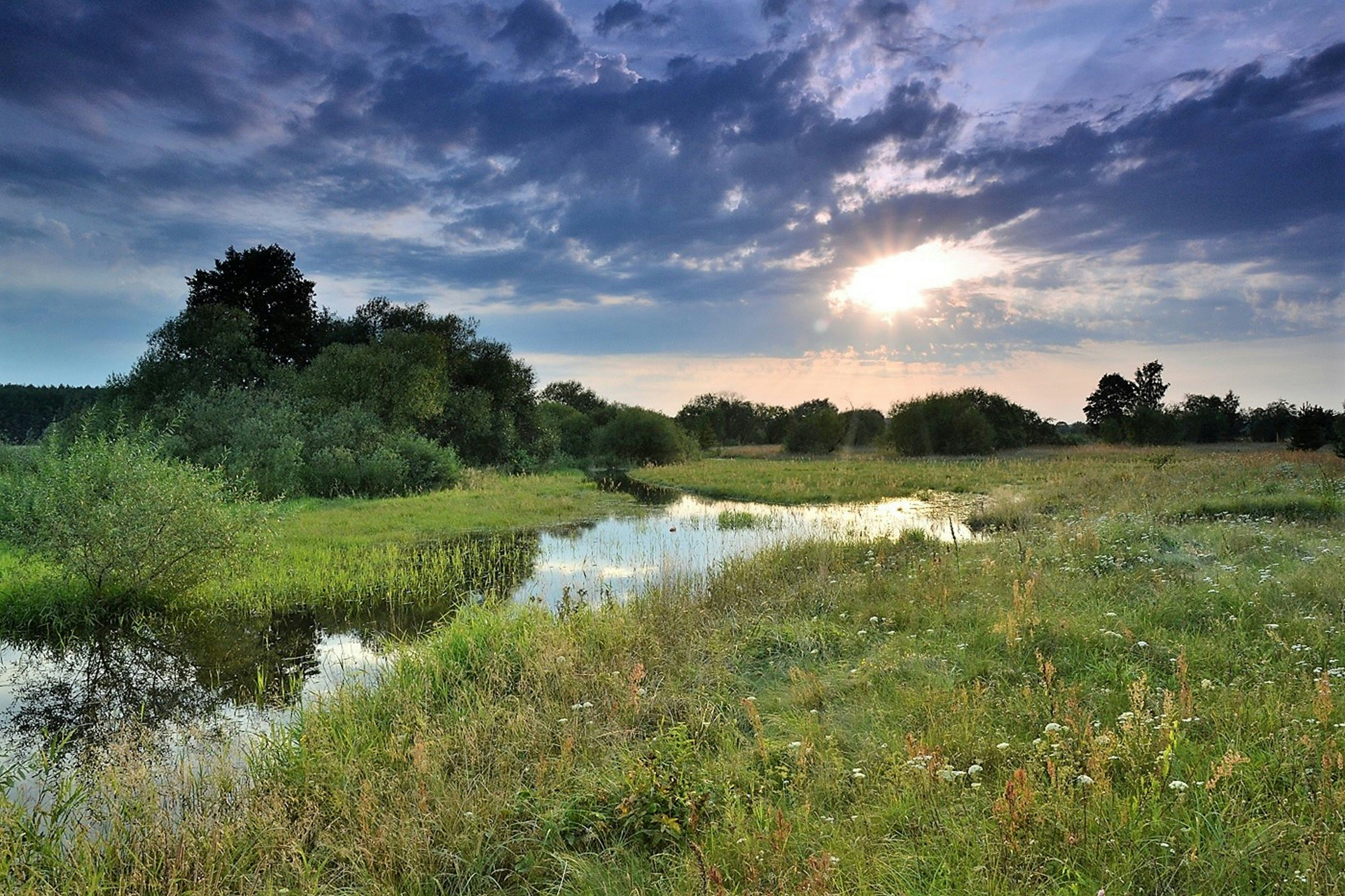 Whispers of Twilight: A Serene Wetland Landscape
