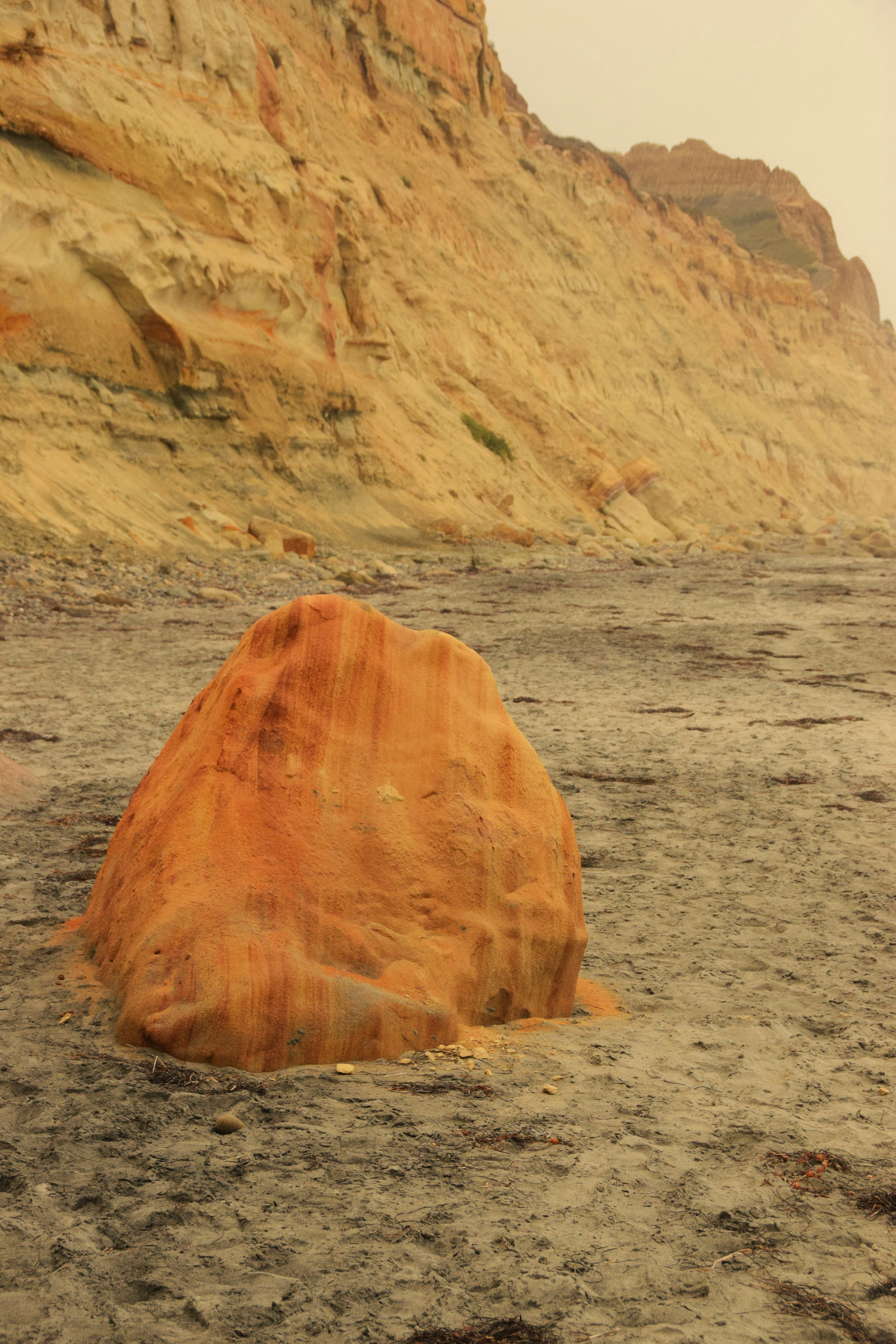 Amber Sentinel on a Cliff-Swept Shore at Golden Hour