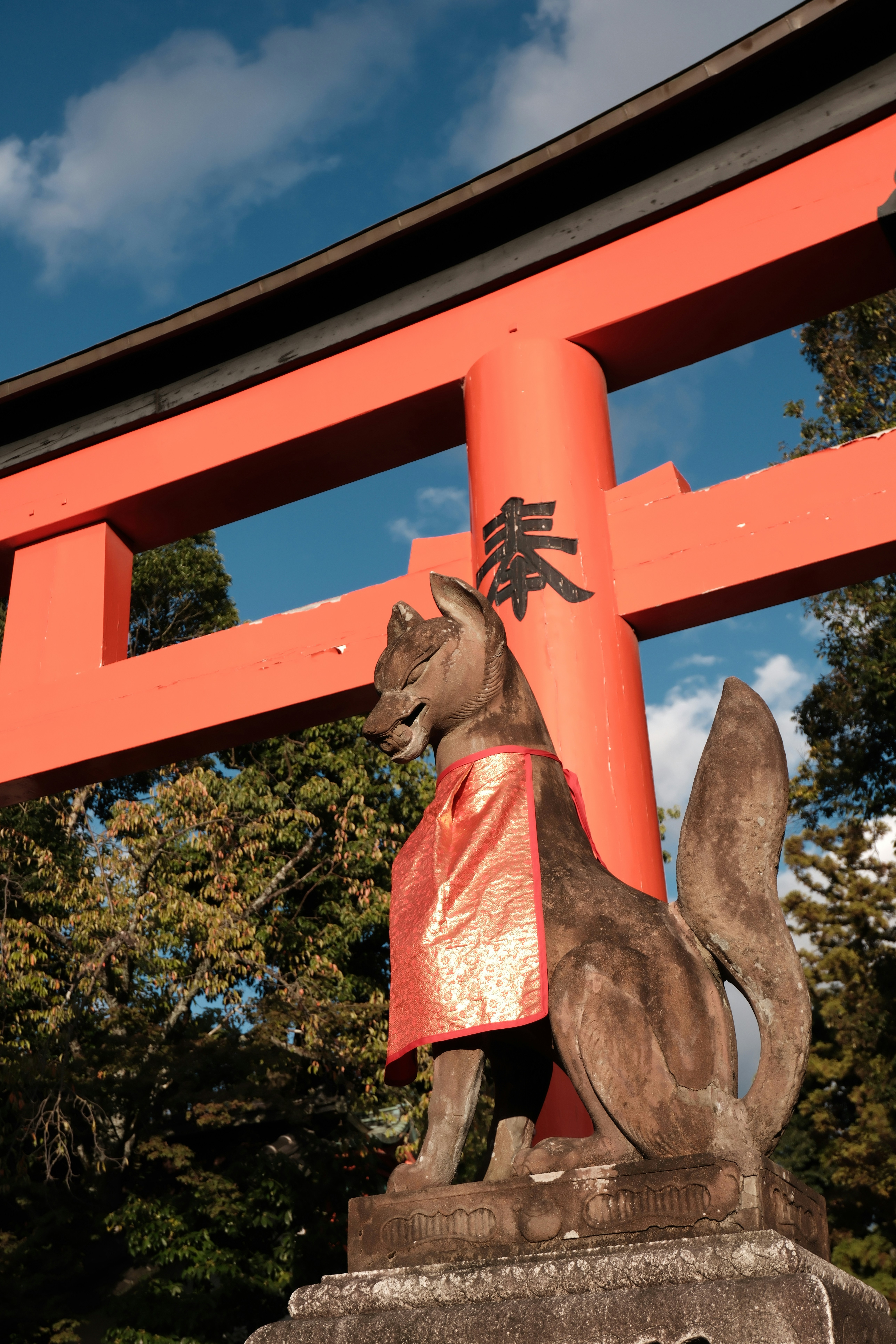 Guardian of the Torii: A Serene Encounter