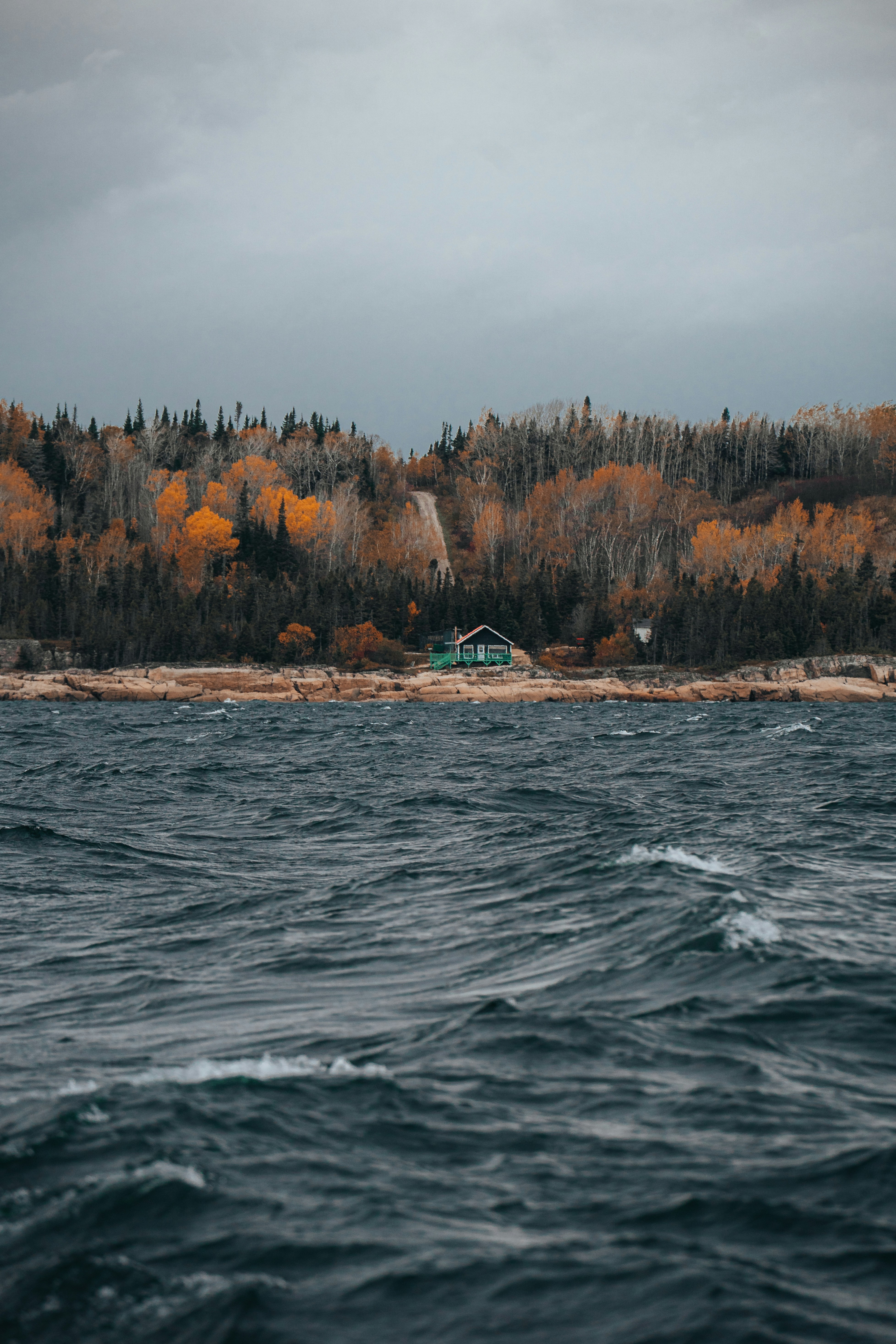 Serenity Amidst Autumn Waves