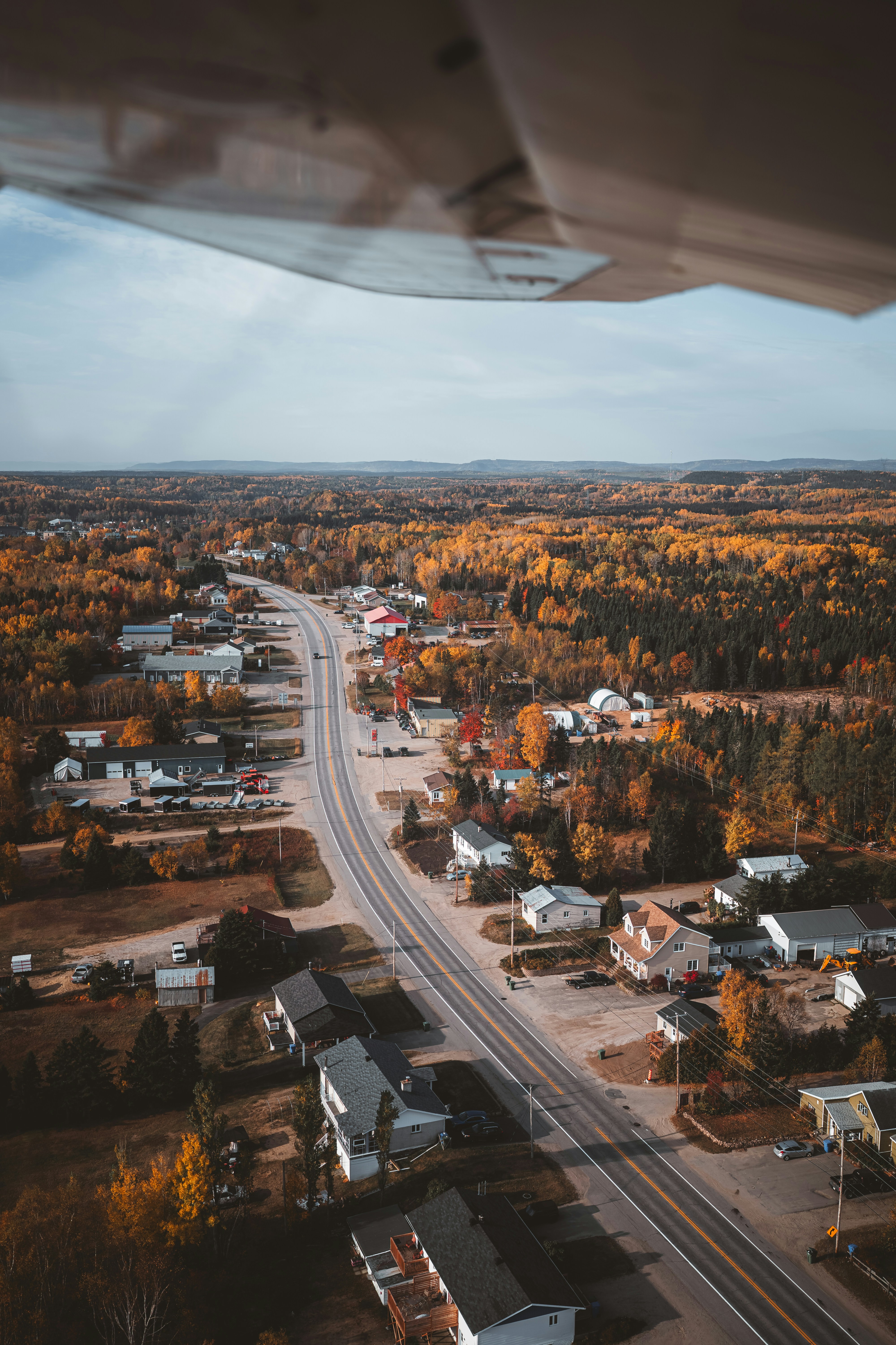Golden Corridor: A Quiet Town Unfolds Along an Autumn Road