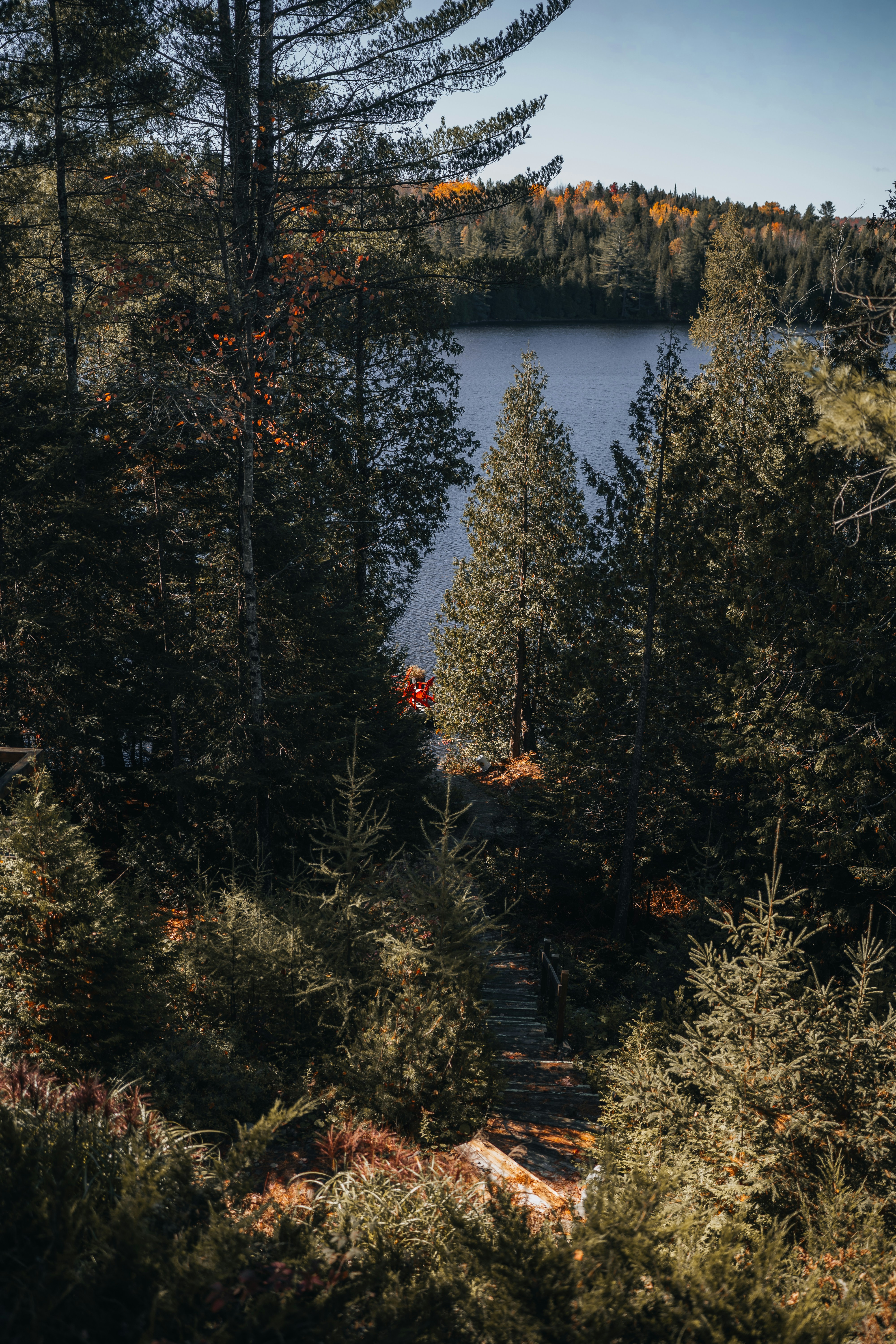 Whispers of Autumn by the Lake