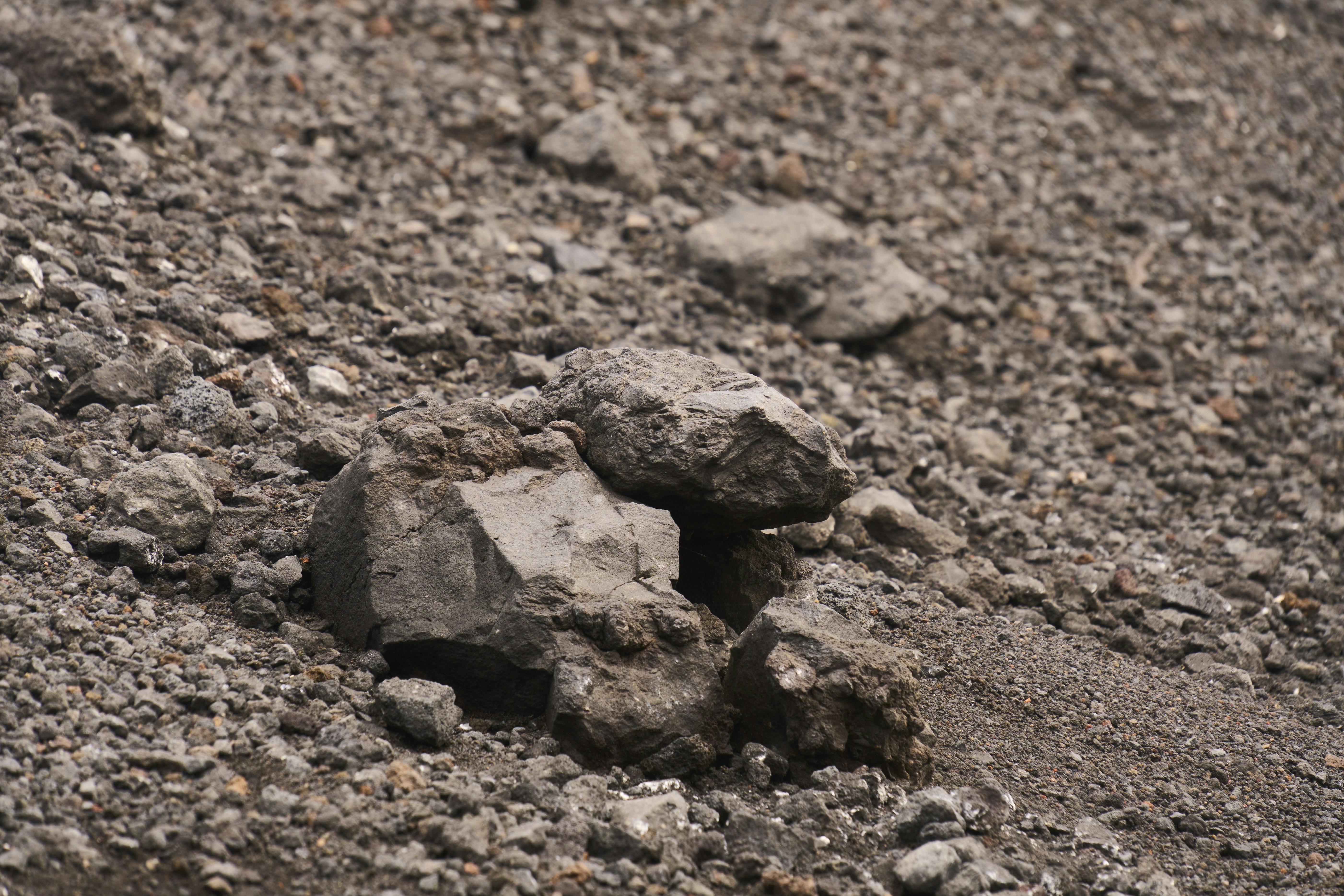 Close-up of small rocks and gravel on the ground.