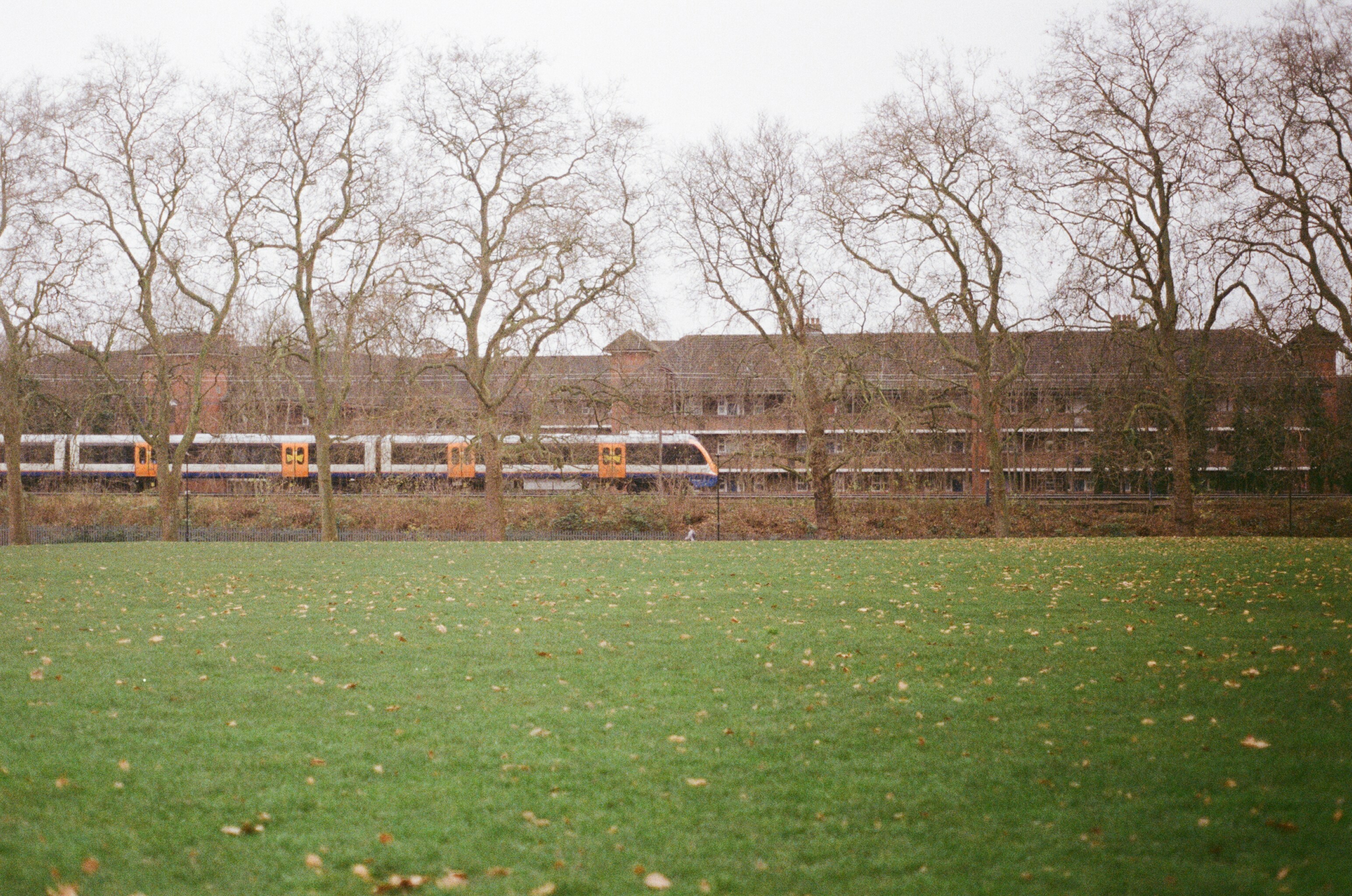 A train passes by trees and buildings.