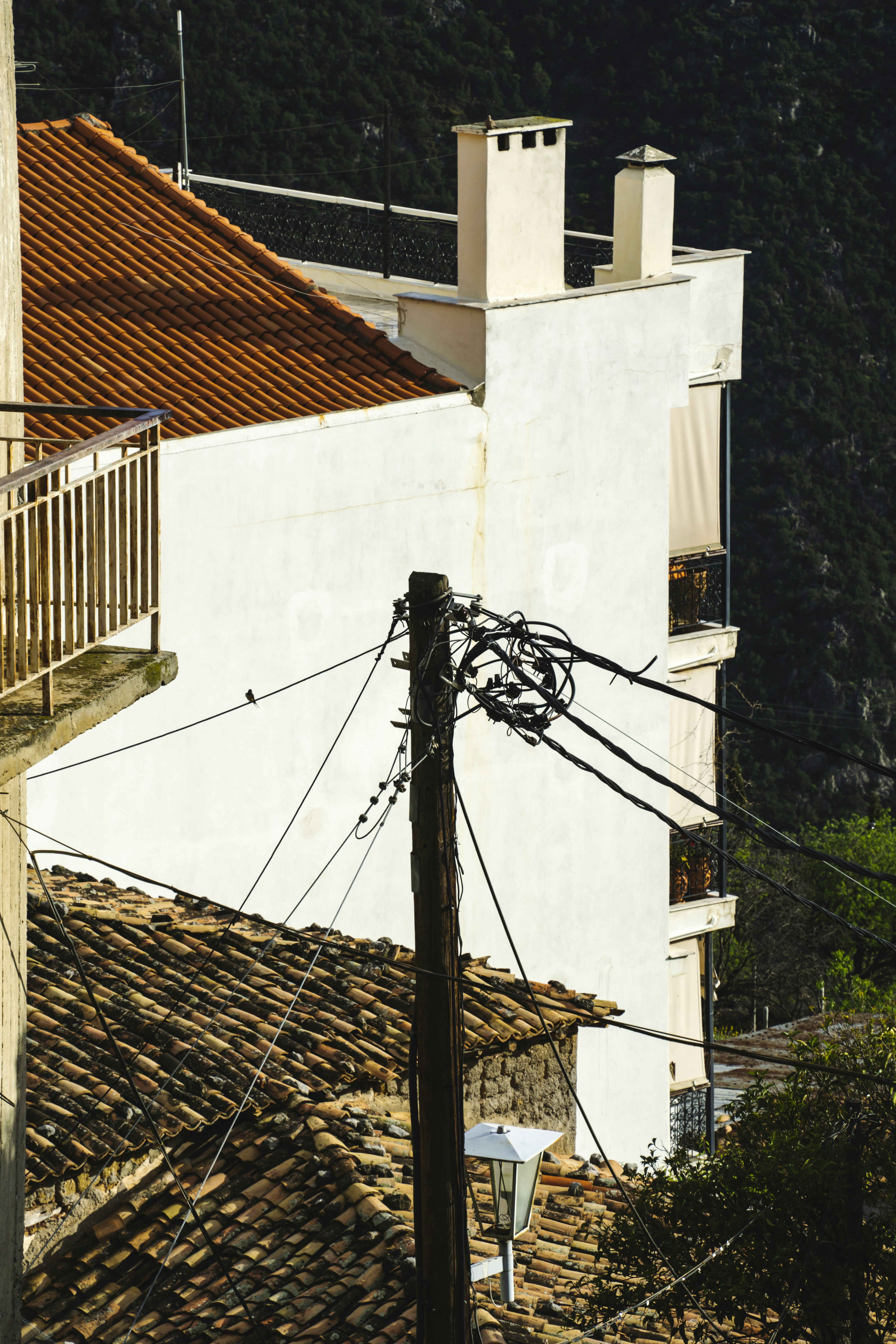 Urban Harmony: The Interplay of Architecture and Nature