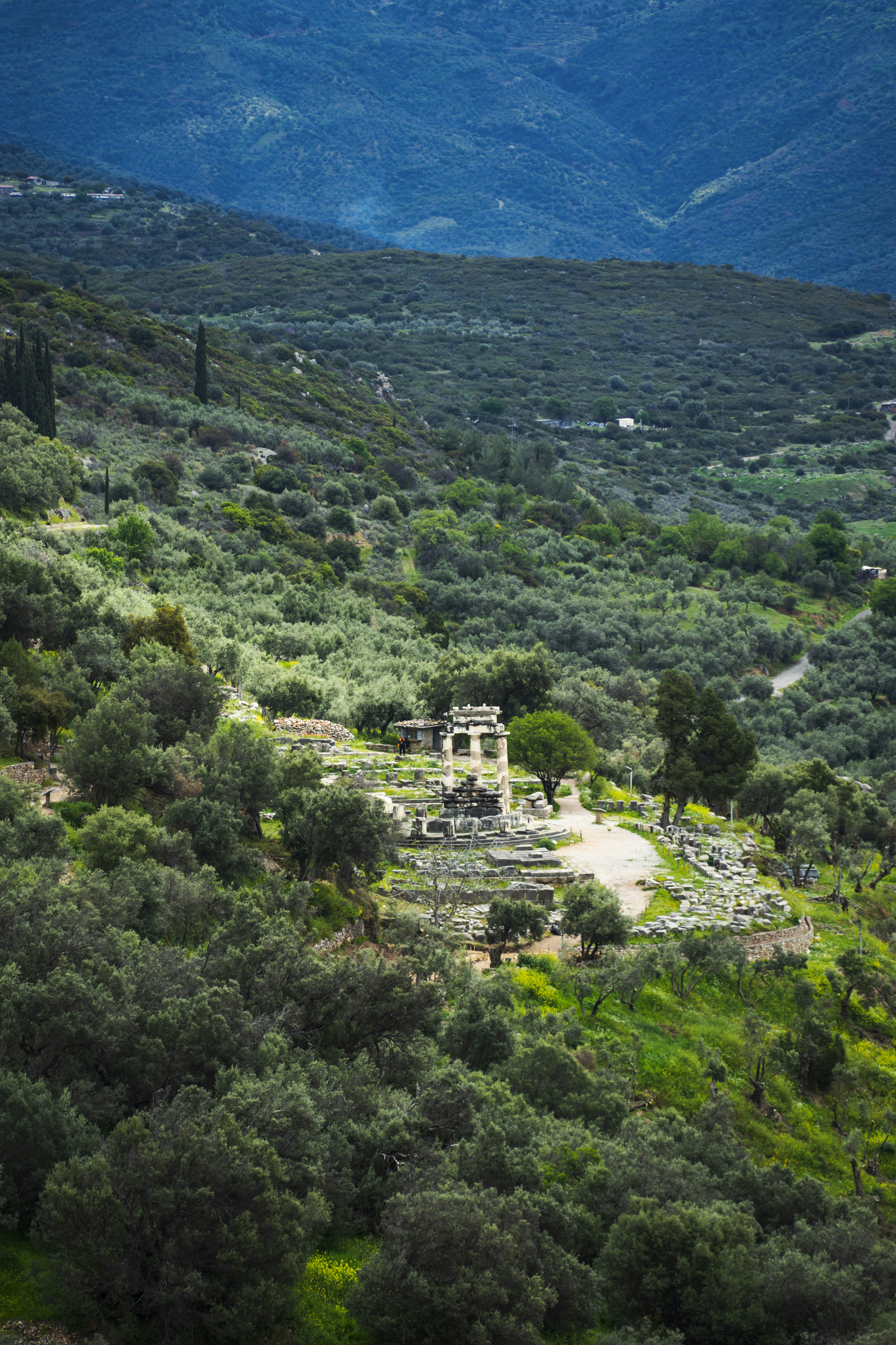 Whispers of Ancient Ruins Amidst Lush Landscapes