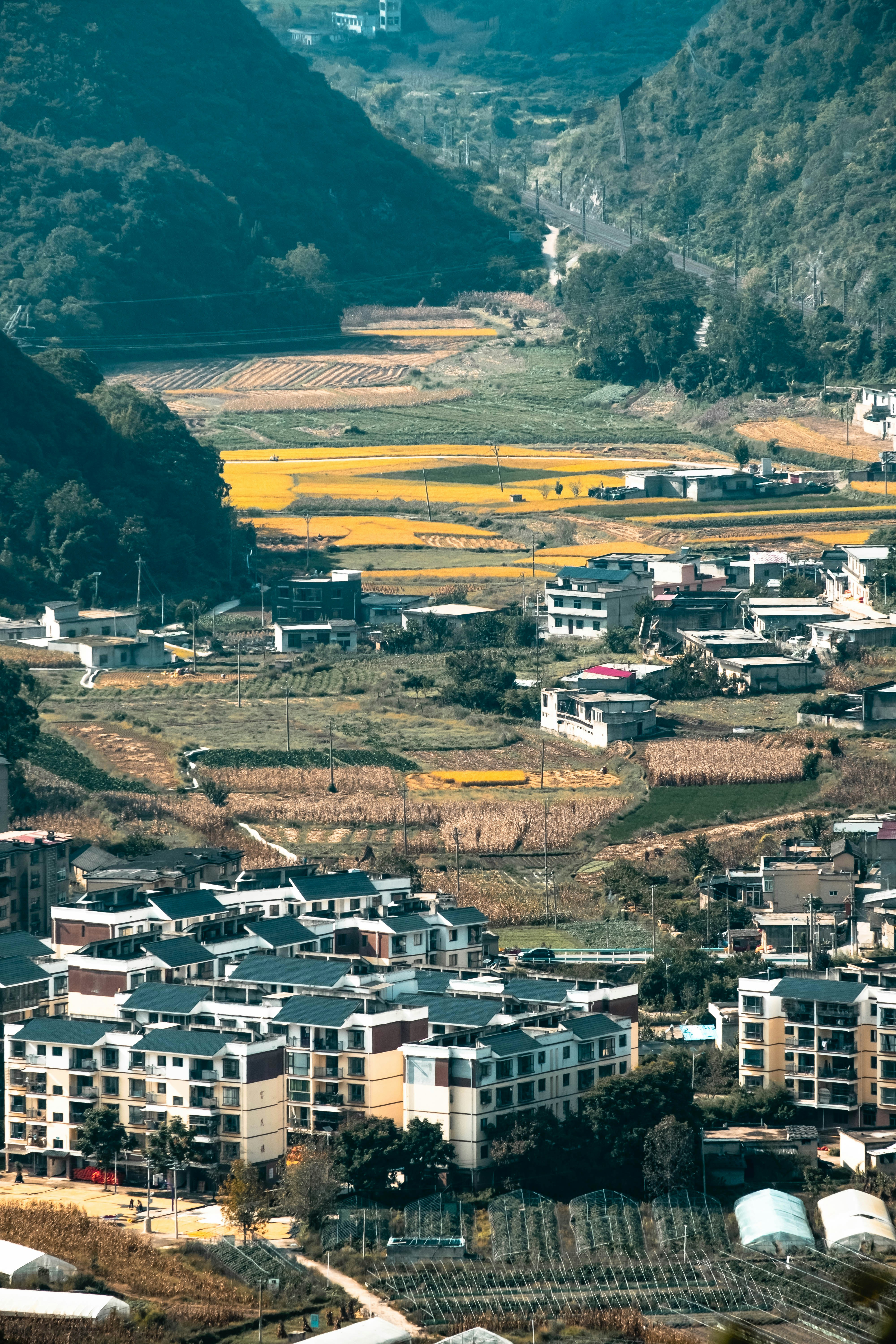 Houses nestled in a valley with yellow fields.