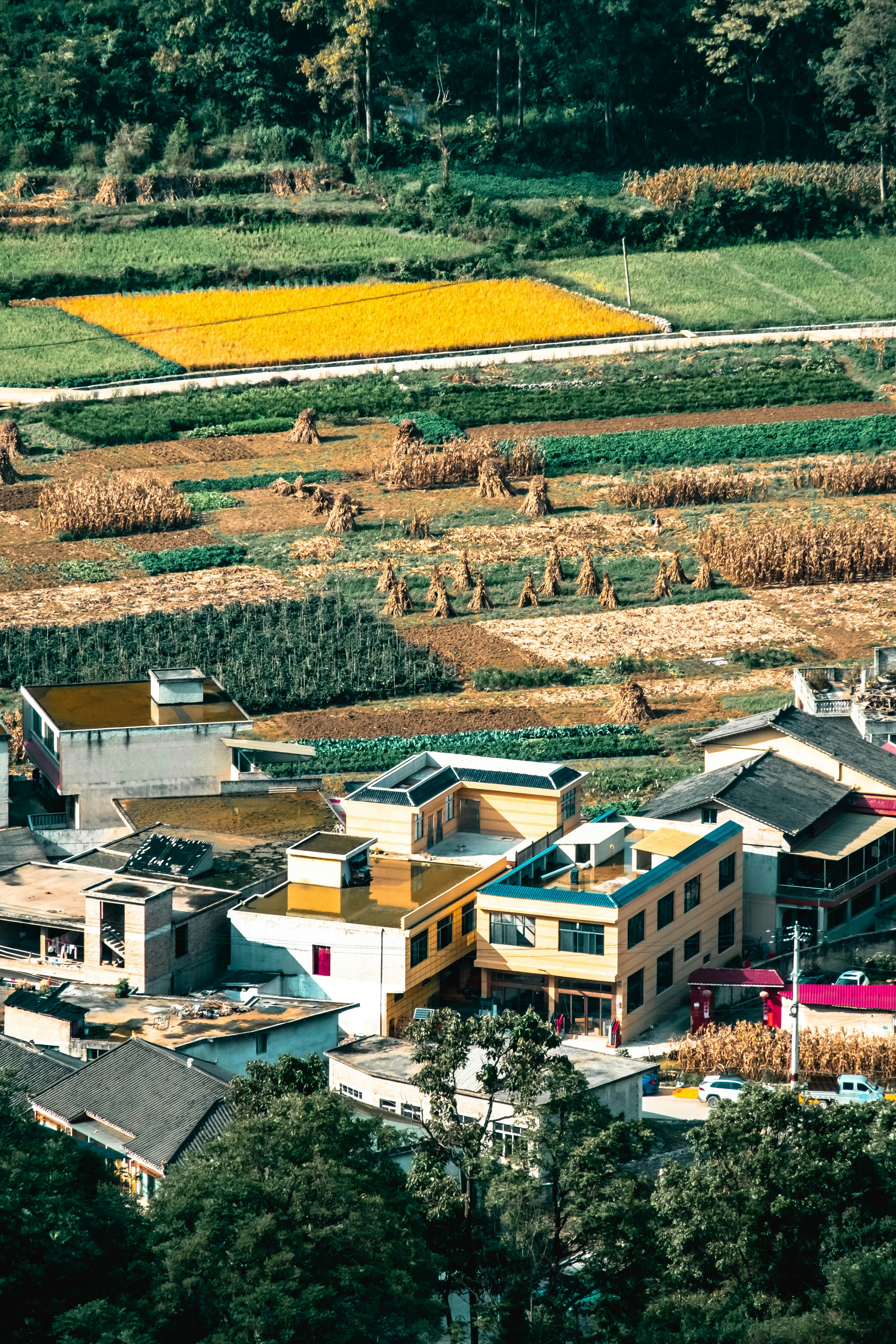 Patchwork of Serenity: A Rural Tapestry