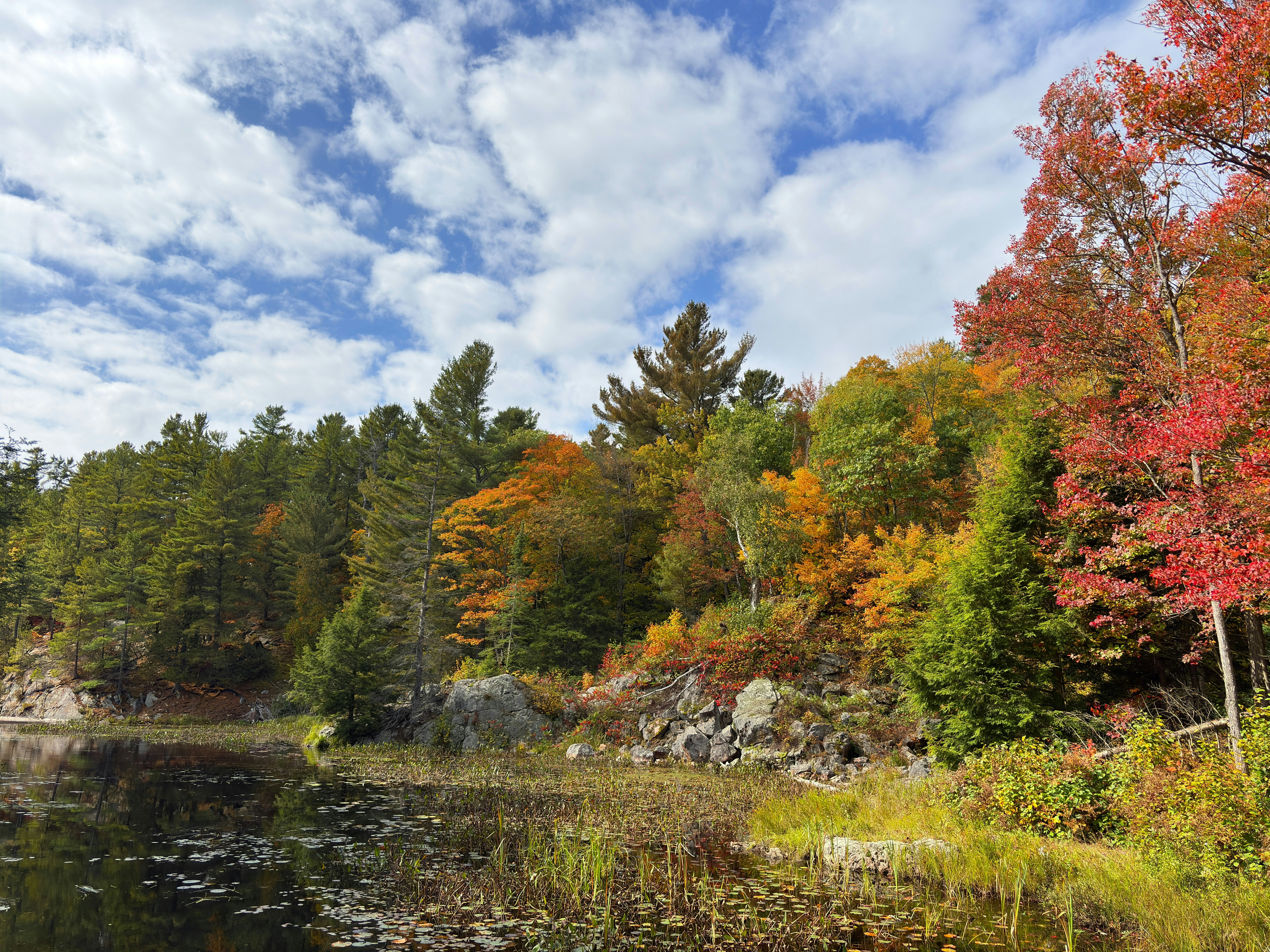 Killarney Provincial Park, Ontario, Canada | Autumn trees with colorful foliage by a calm lake.