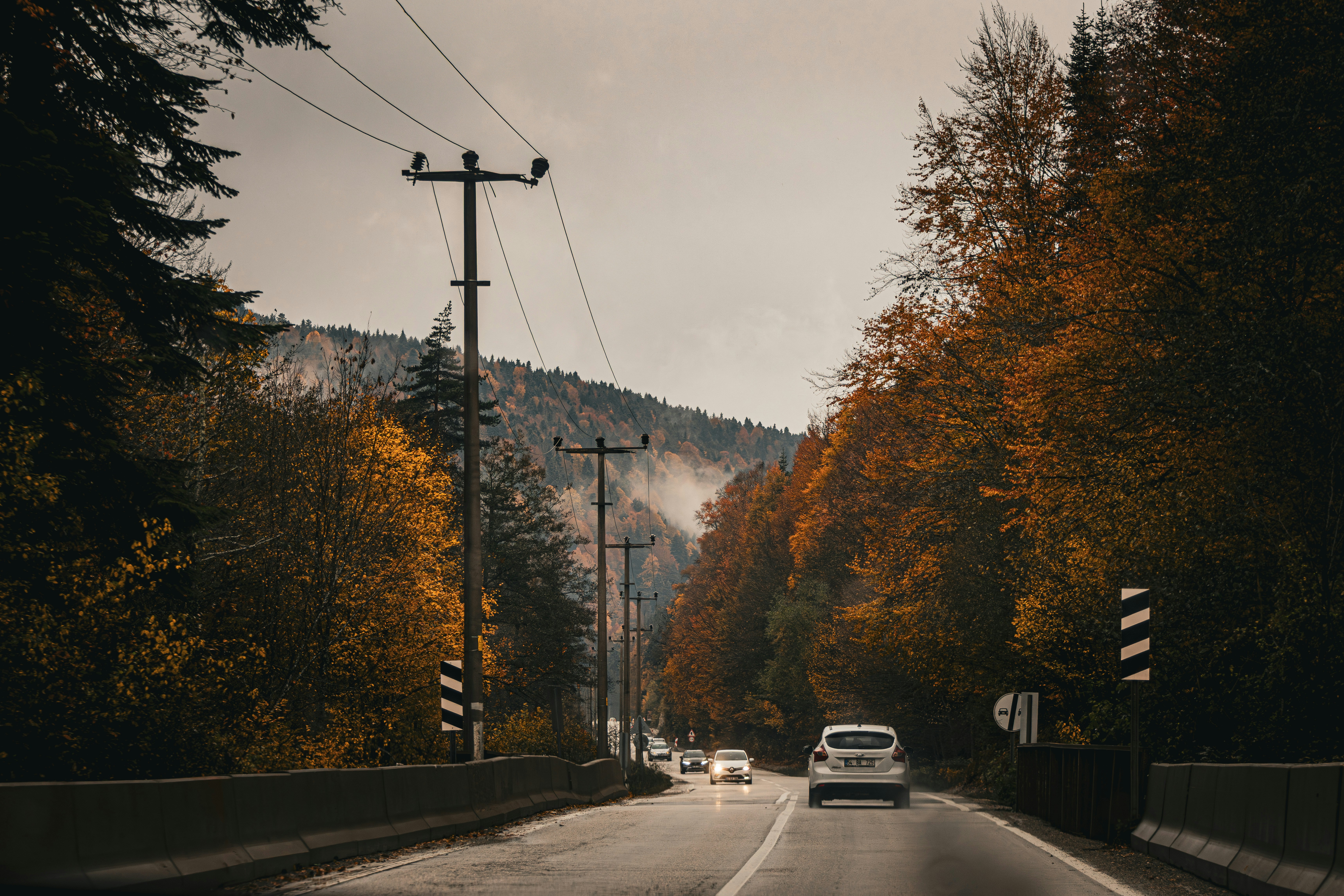 Cars navigate a winding road flanked by vibrant autumn foliage and misty hills. Power lines stretch across the scene, enhancing the rural charm.