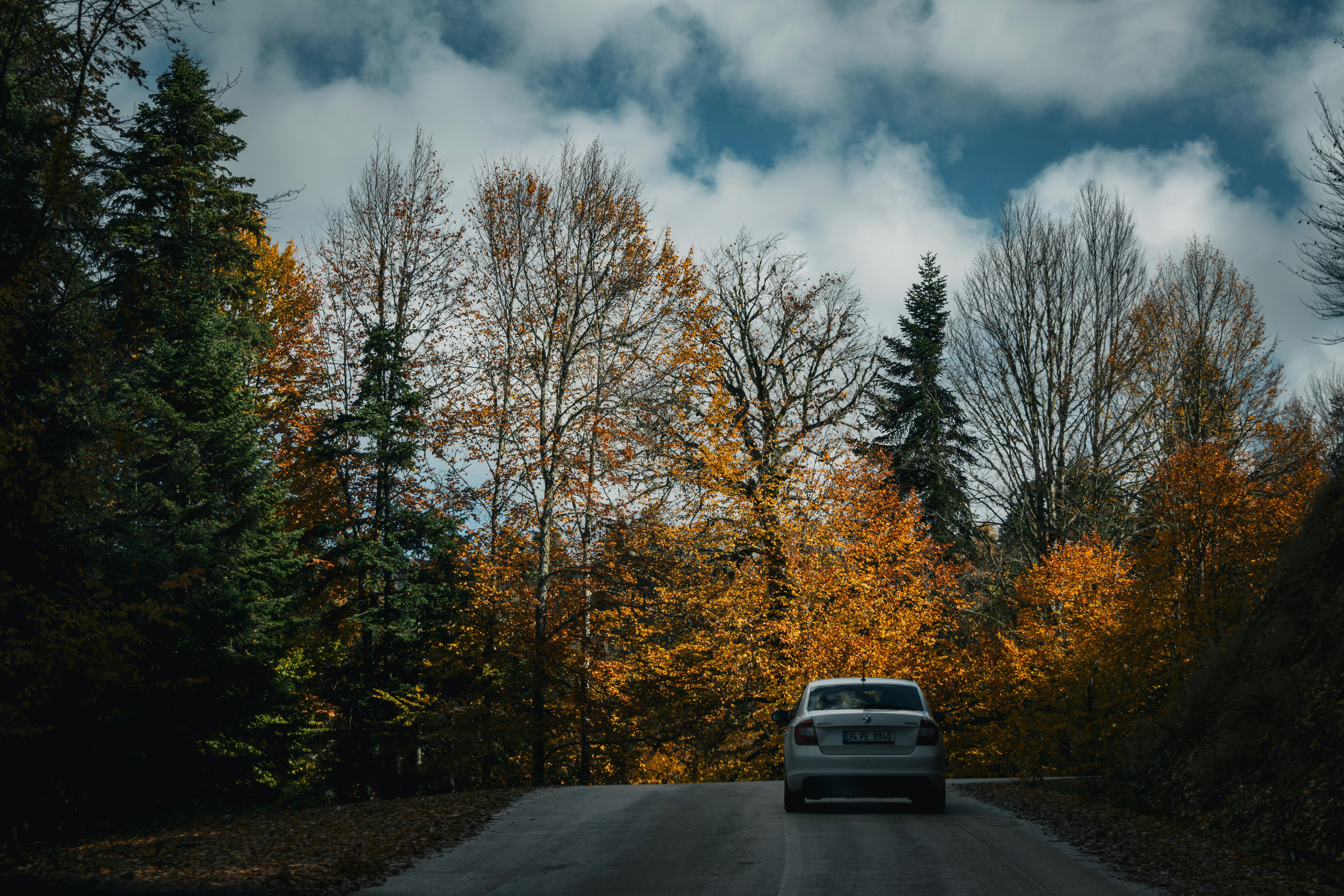 Photo by Furkan Durmuş with Canon EOS R7