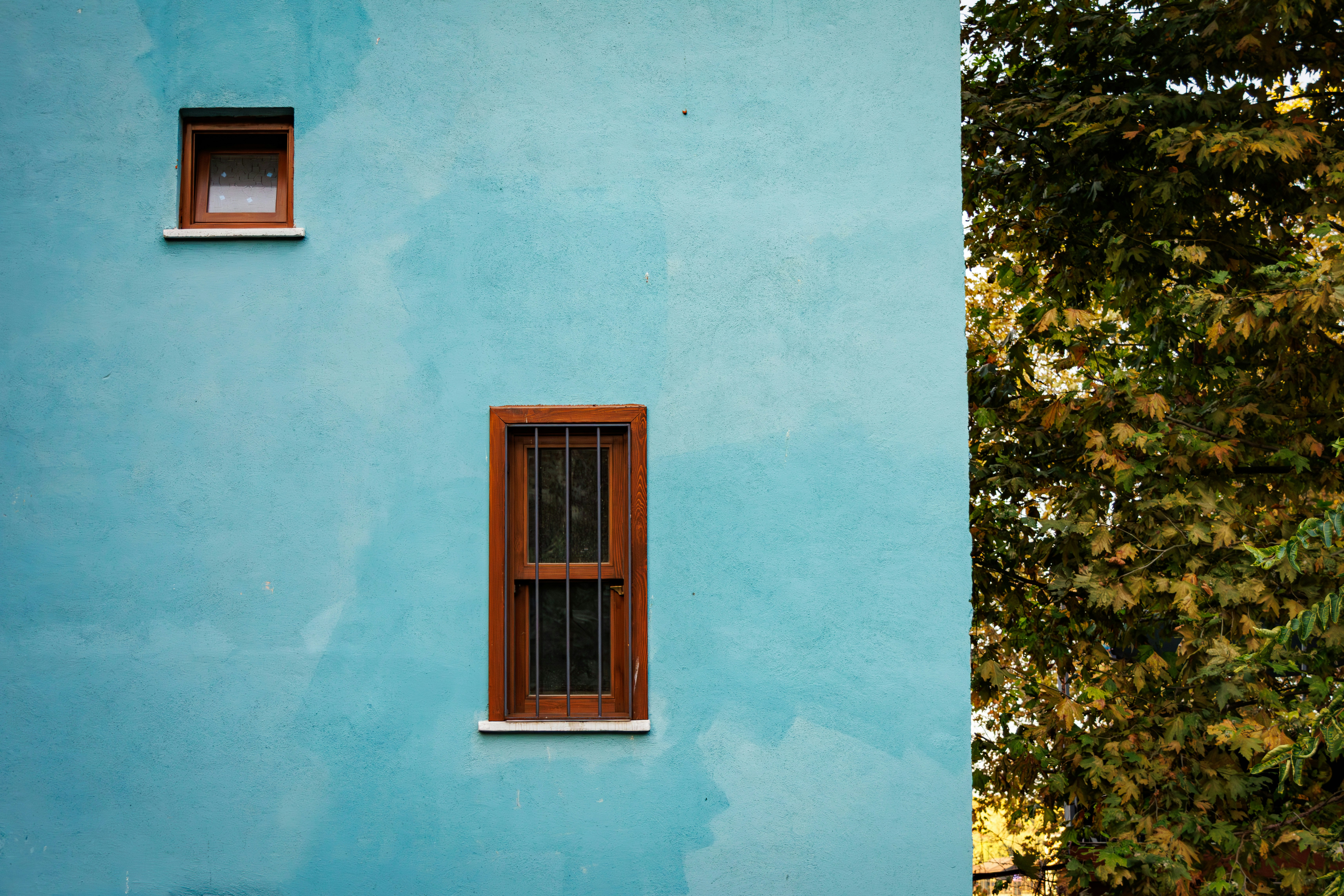 Two windows on a textured blue wall