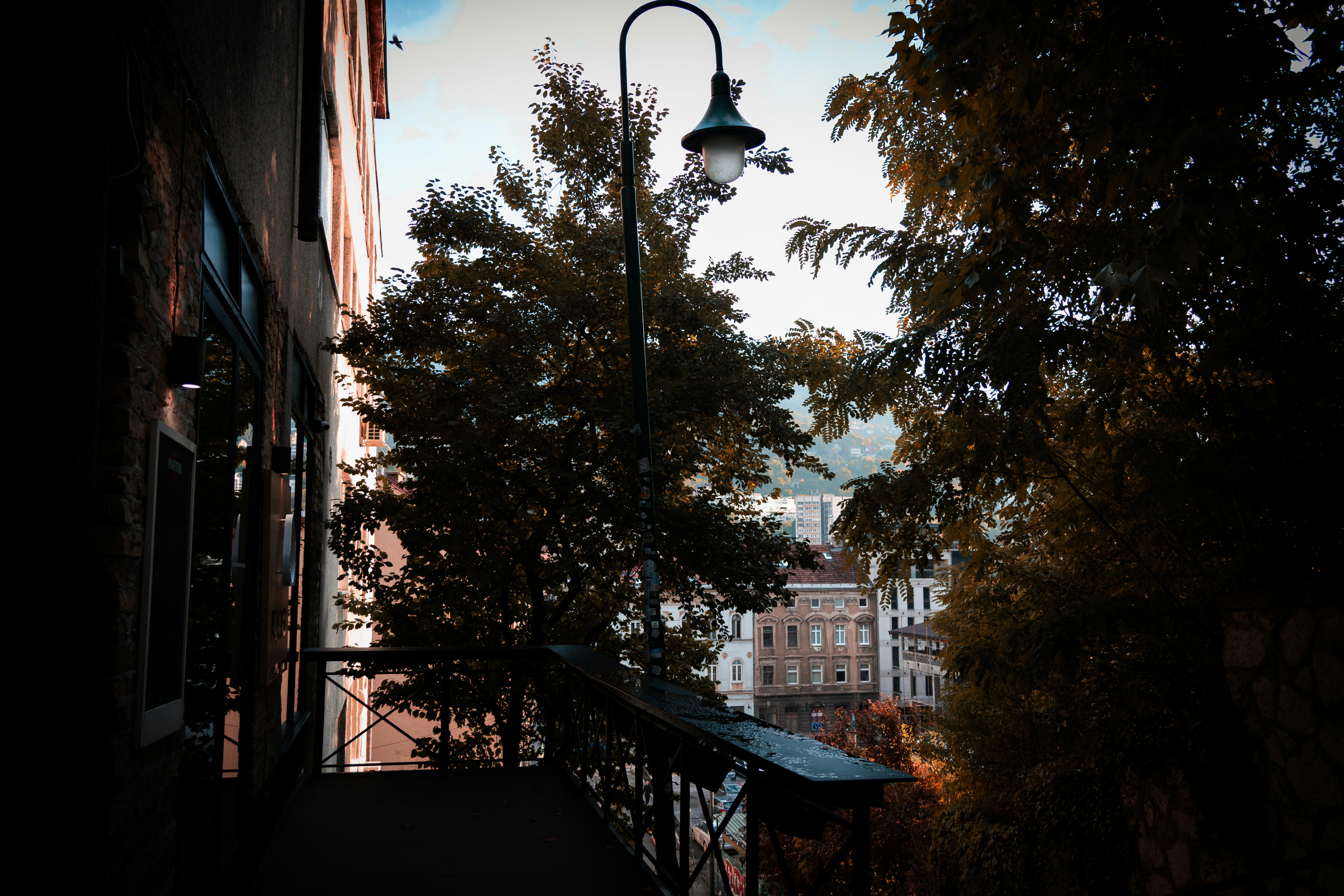 Whispers of Urban Serenity