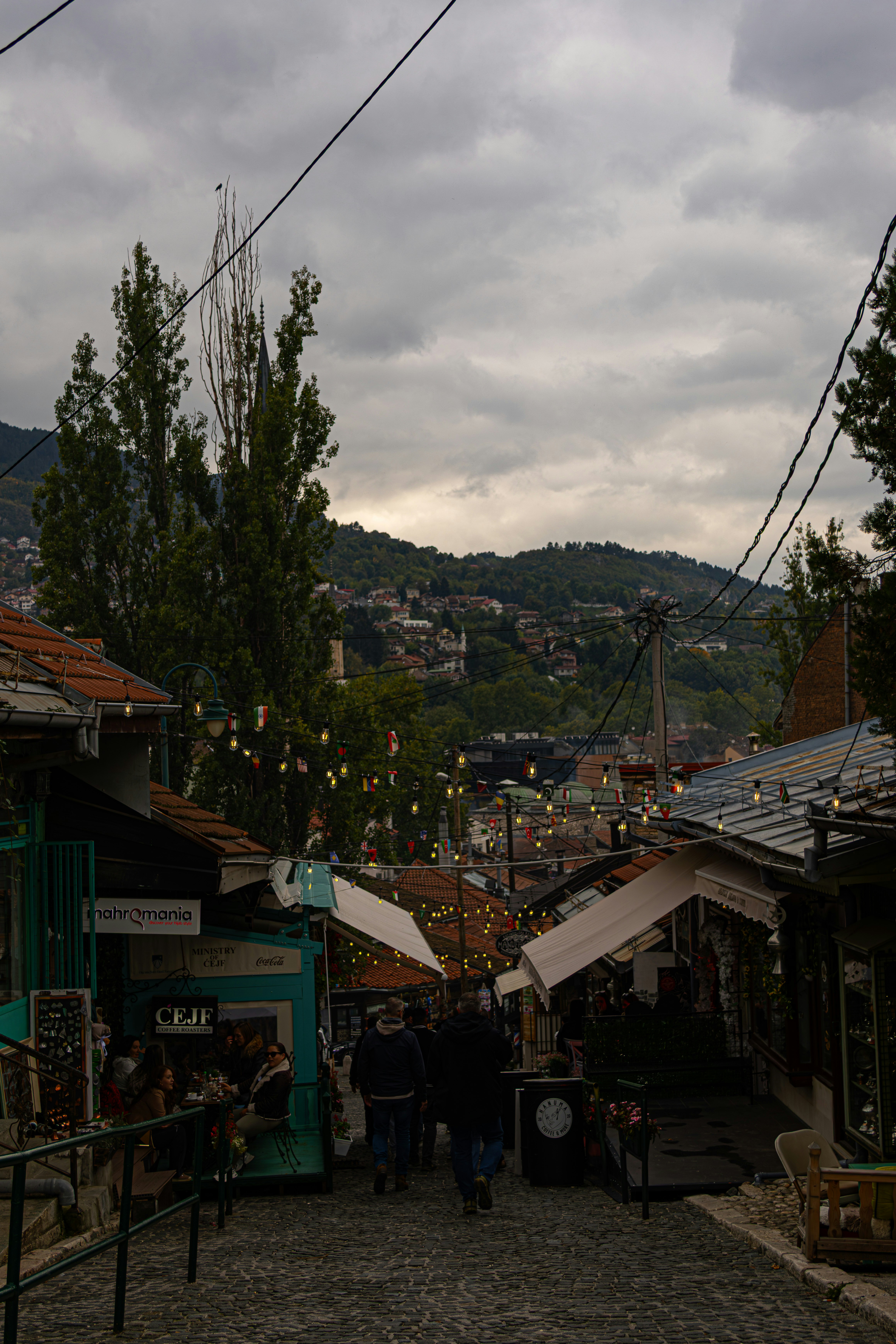 Whispers of a Charming Street
