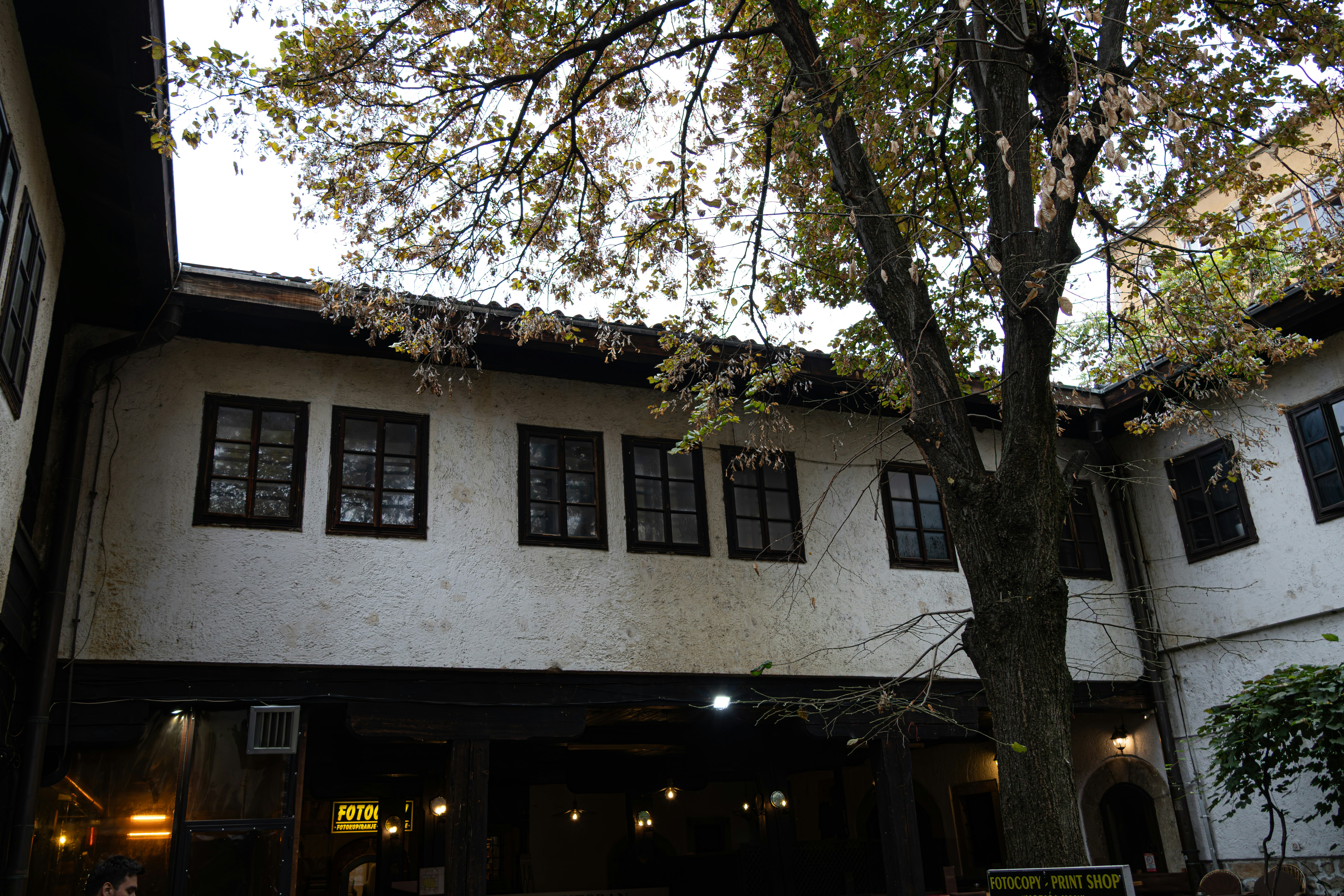 Whispers of History: A Cozy Courtyard Retreat