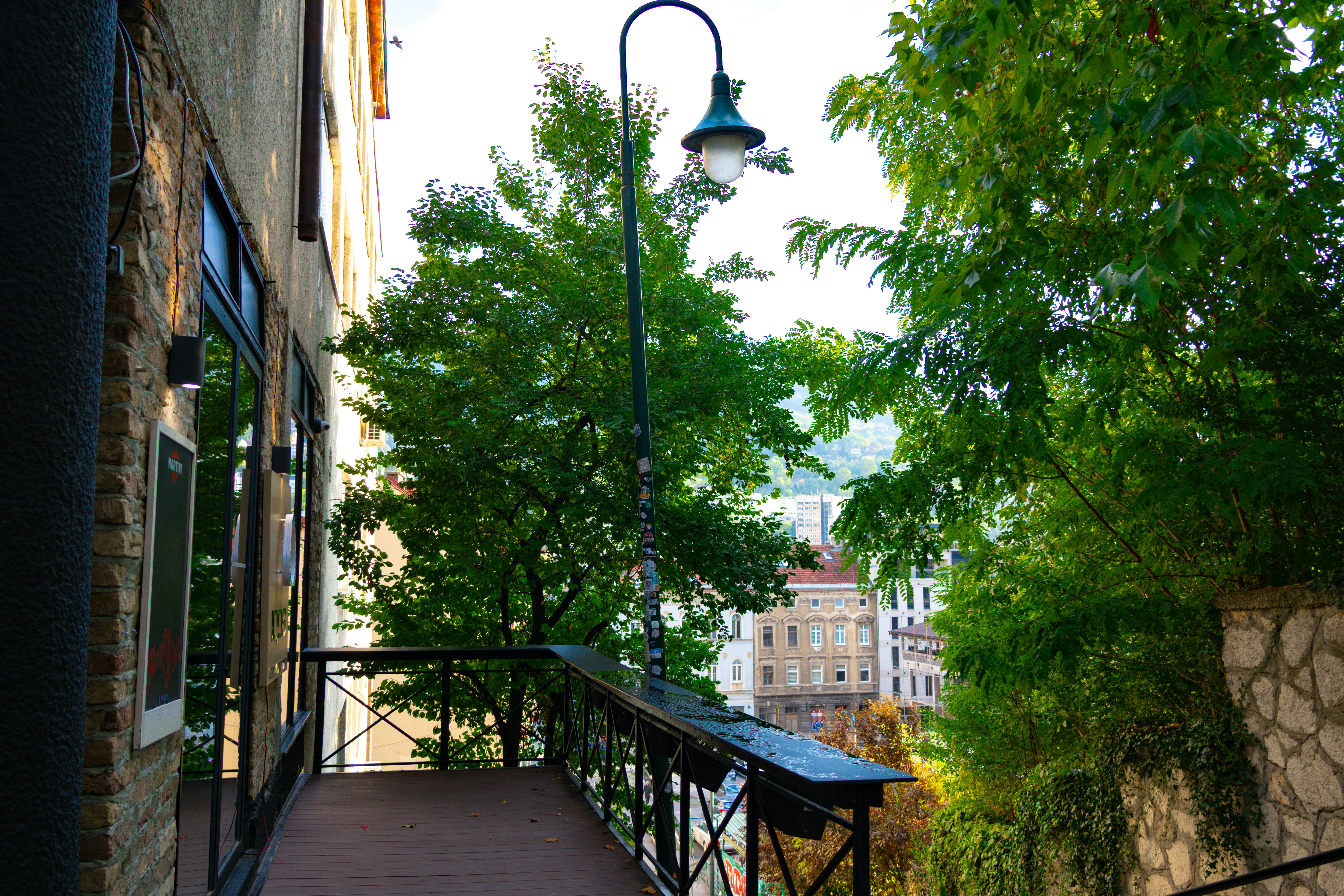 Urban Oasis: A Serene Escape Amidst City Life