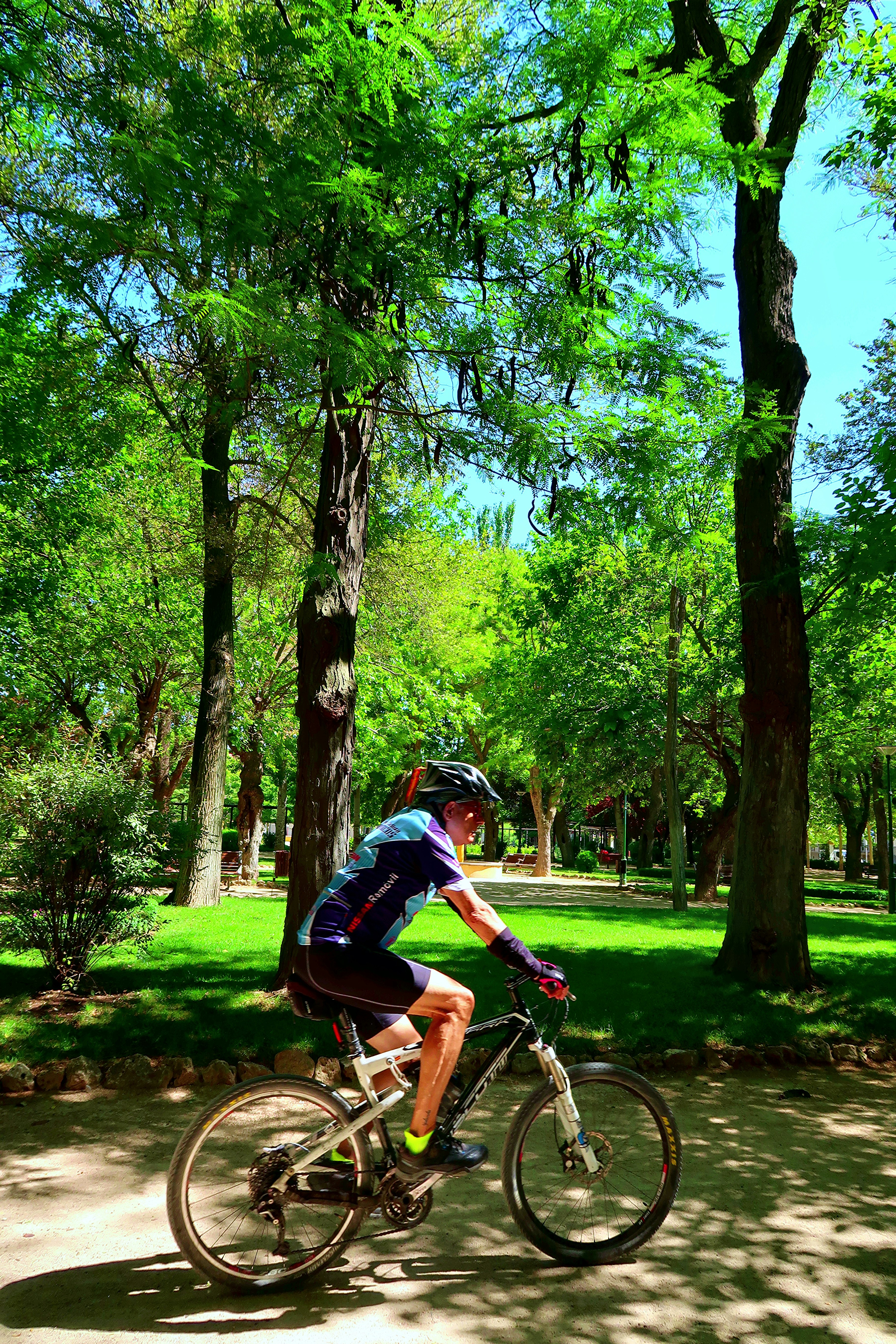 Pedal Power Amidst Nature's Embrace