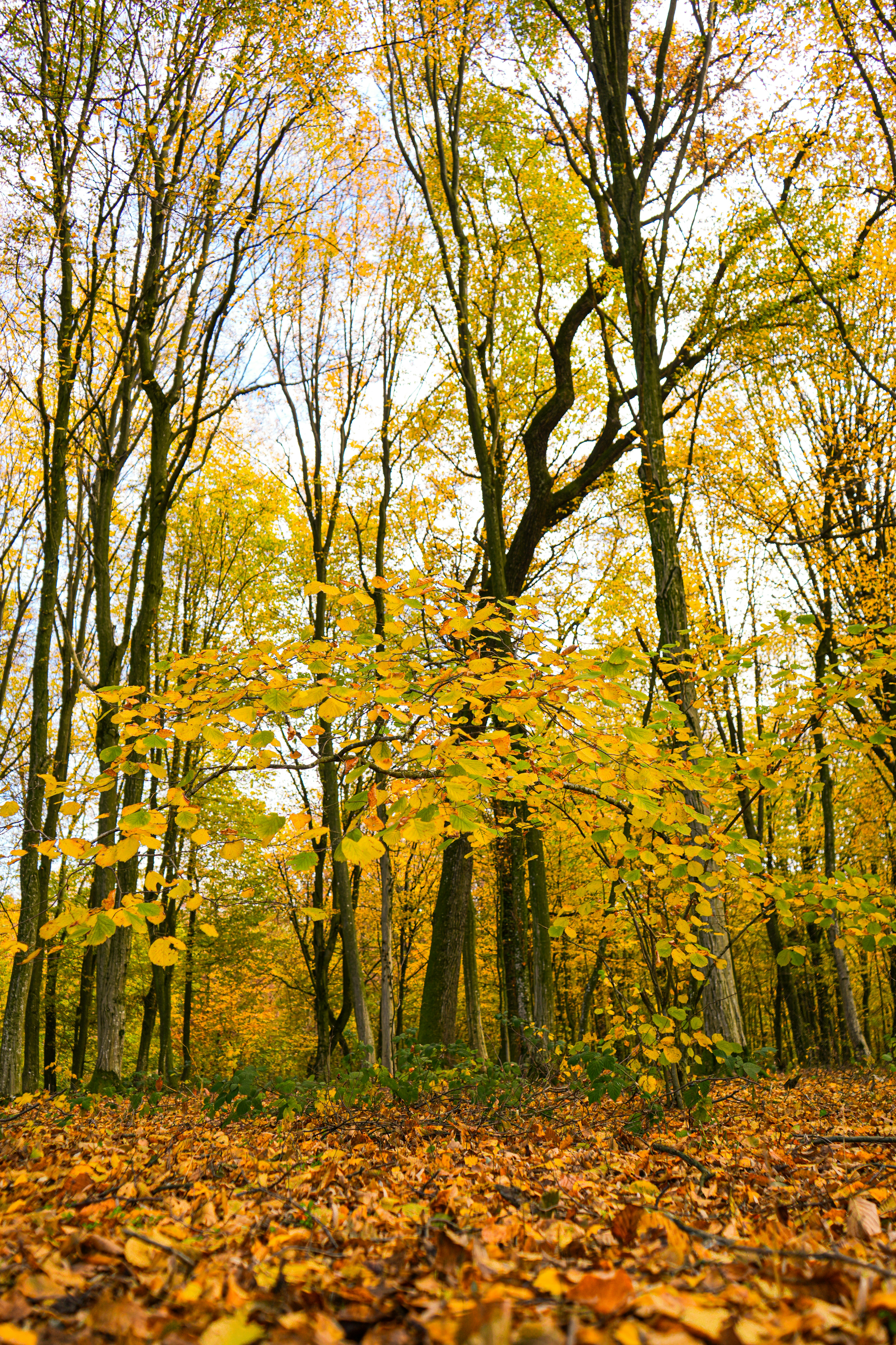 Photo by Nikola  Tomašić with Sony Alpha 7 IV