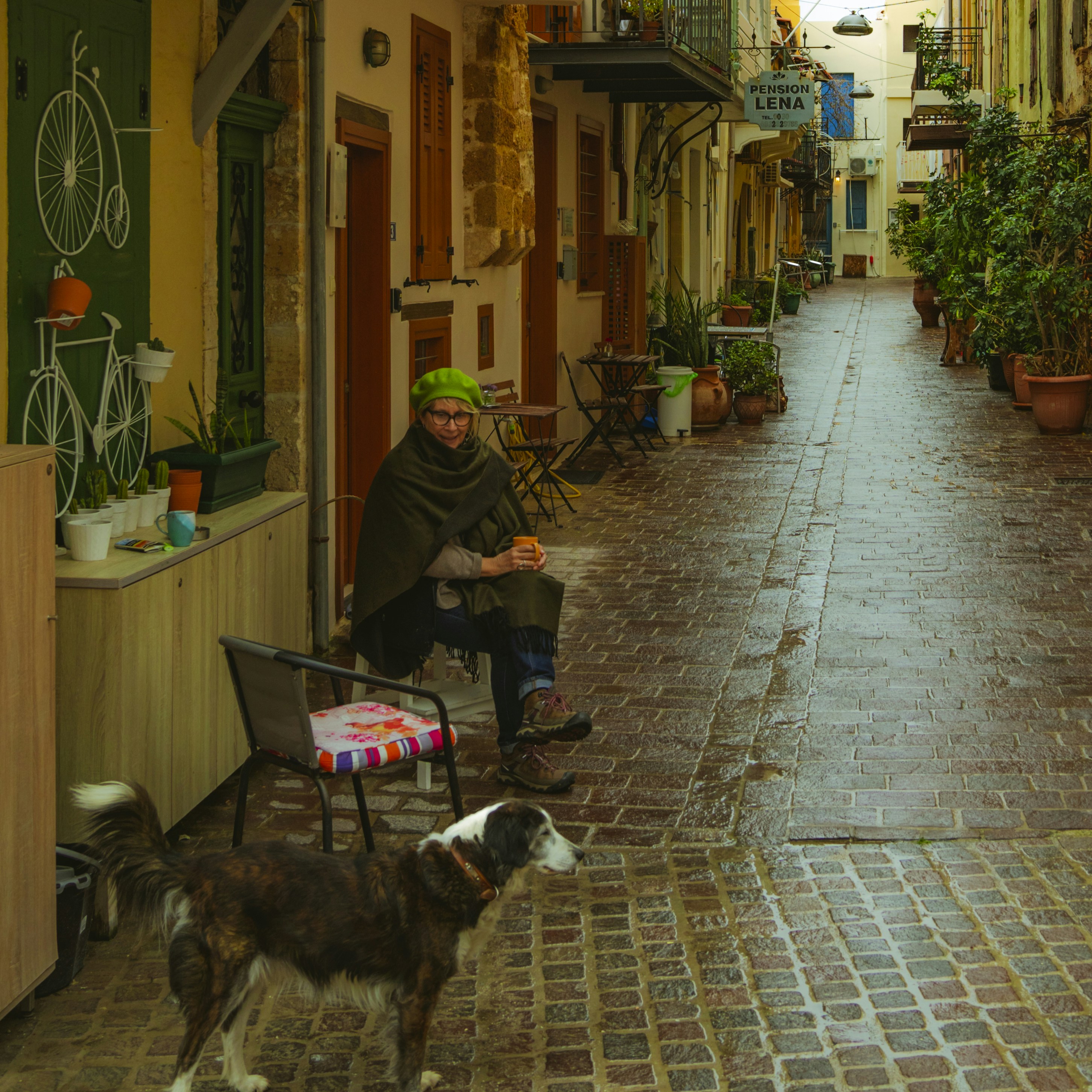Whispers of the Cobblestone Alley