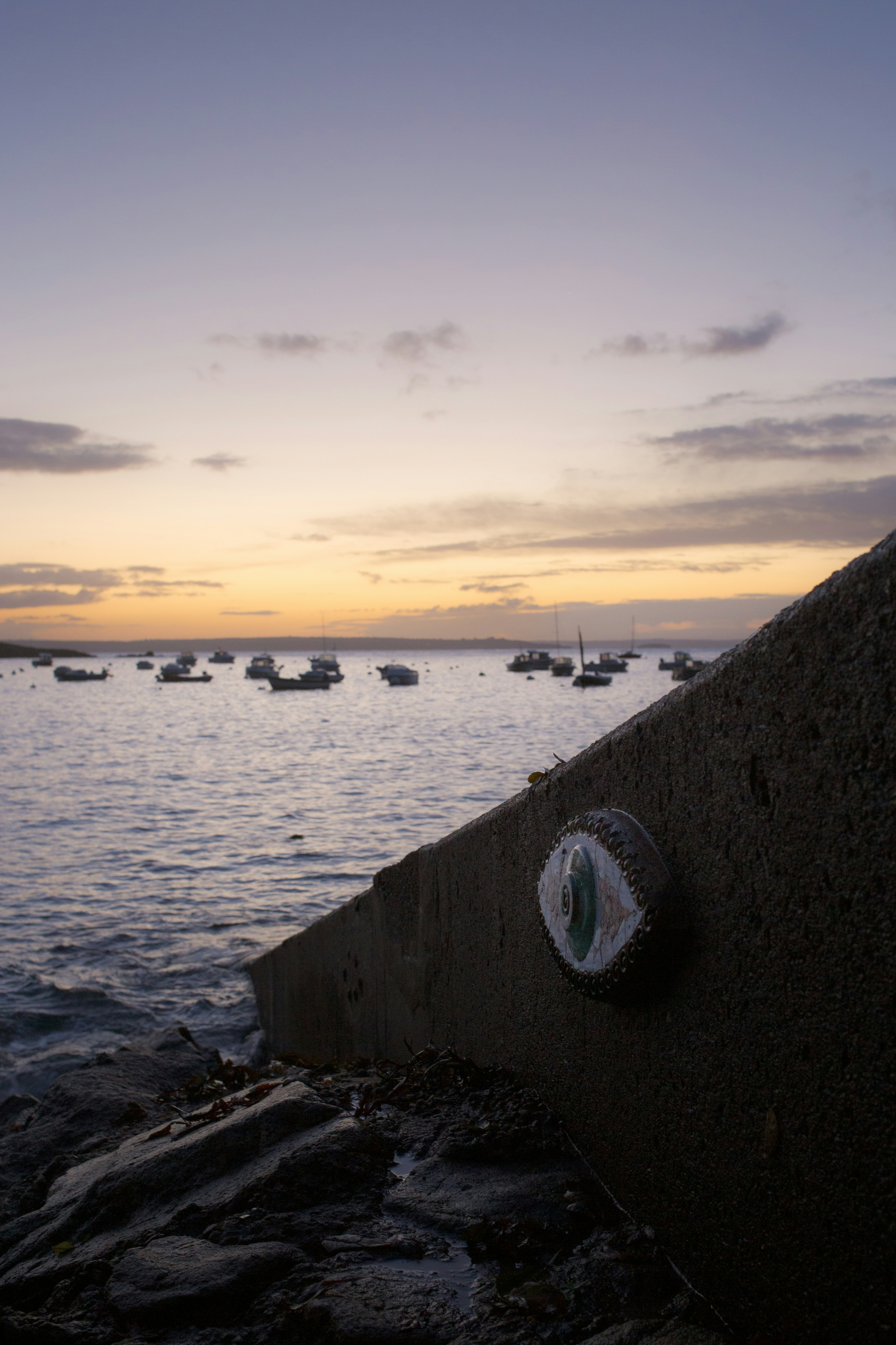 Whispers of the Tide: A Coastal Reflection