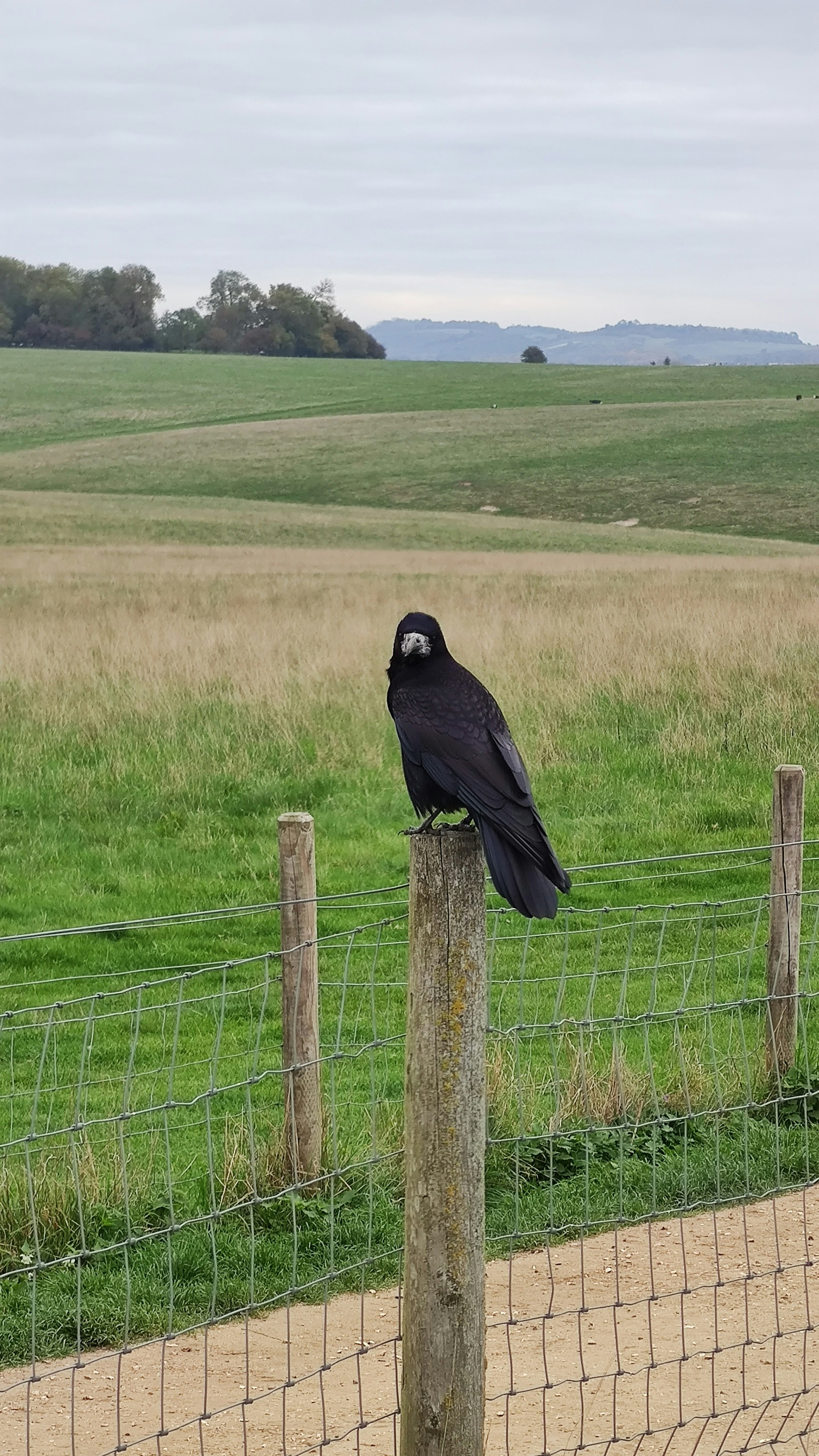 Stonehenge, England, UK ~ 17 October 2025