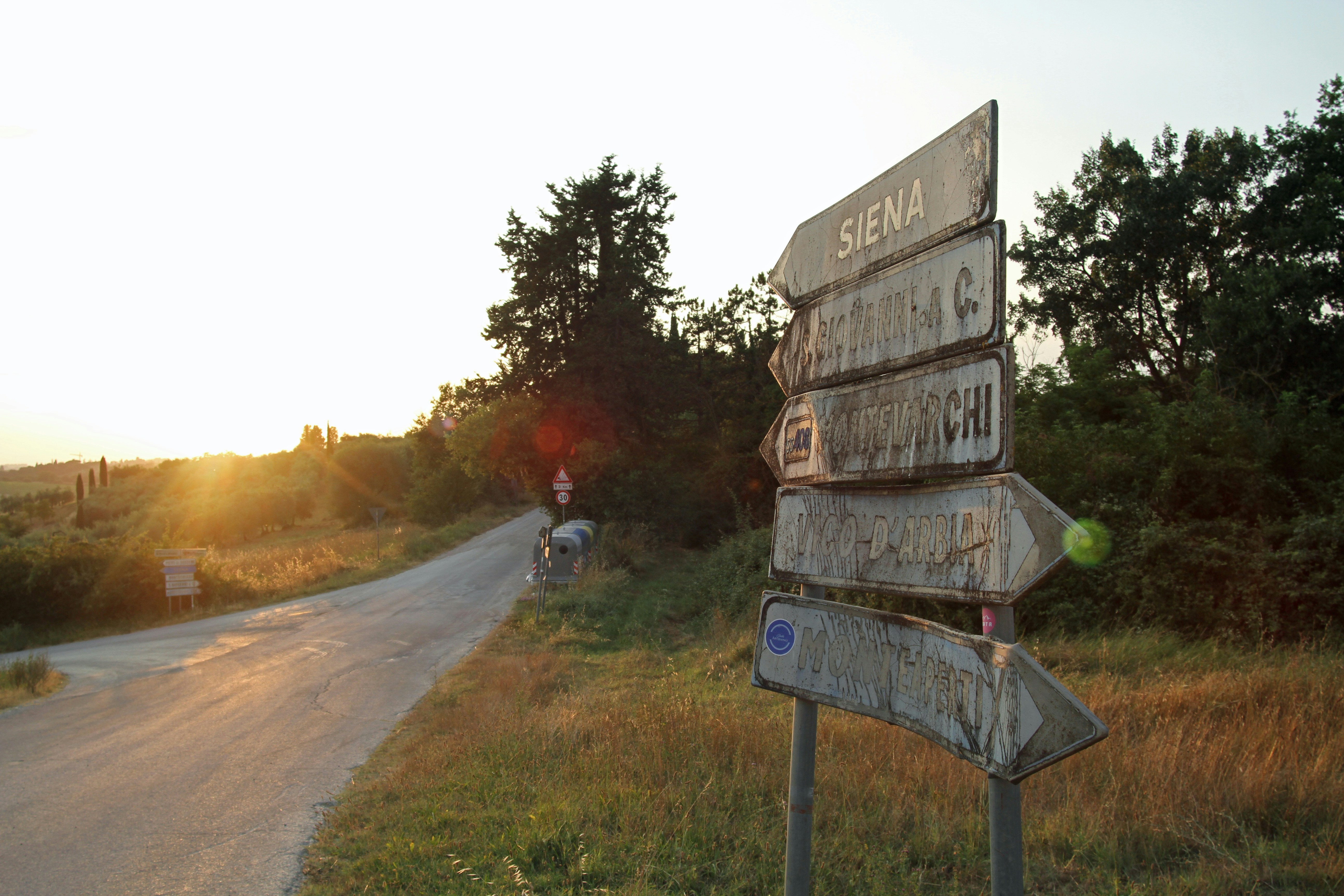 Navigating the Golden Hour: A Journey Towards Siena