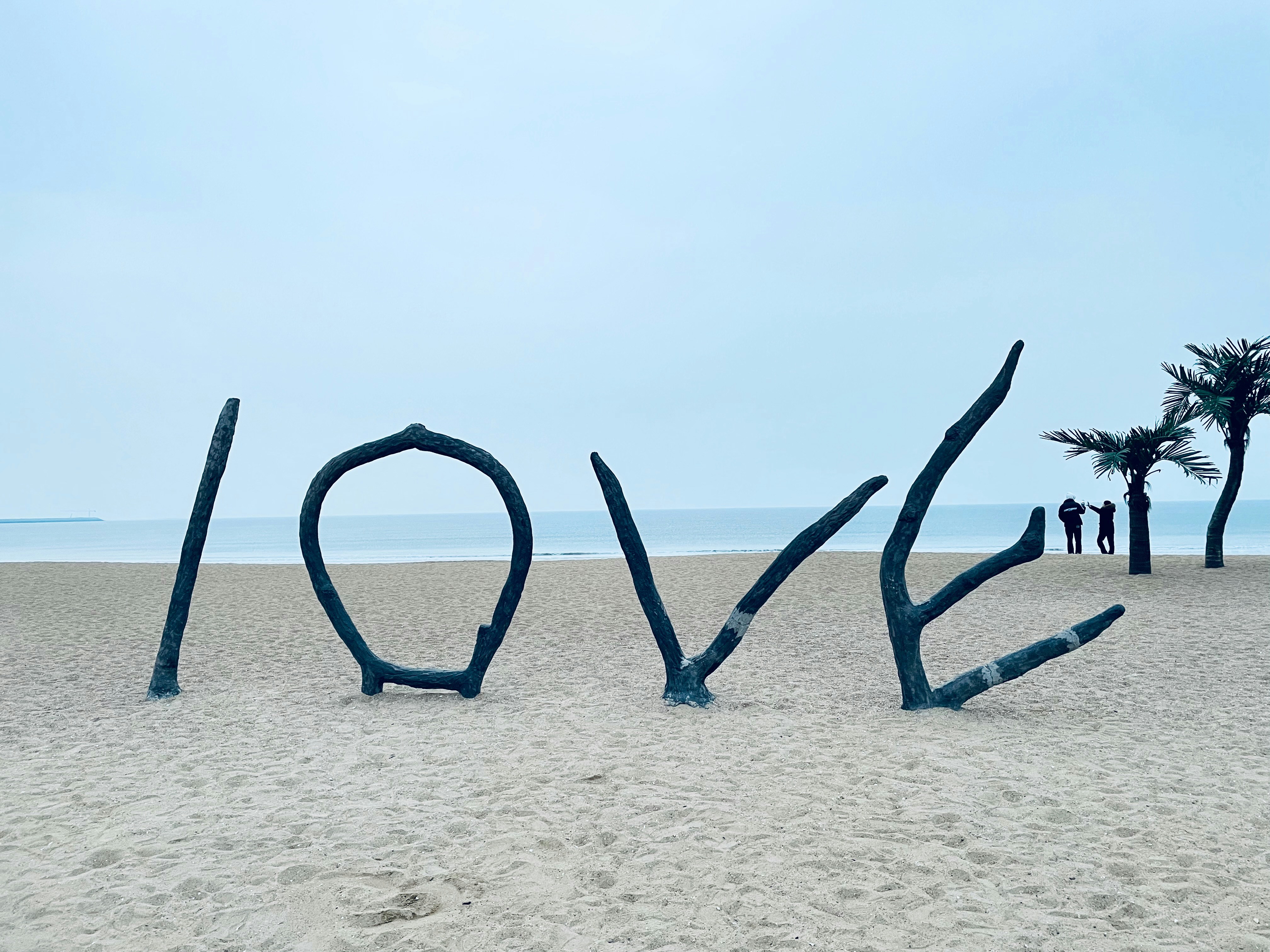 The word love spelled with driftwood on a sandy beach. photo – Free ...