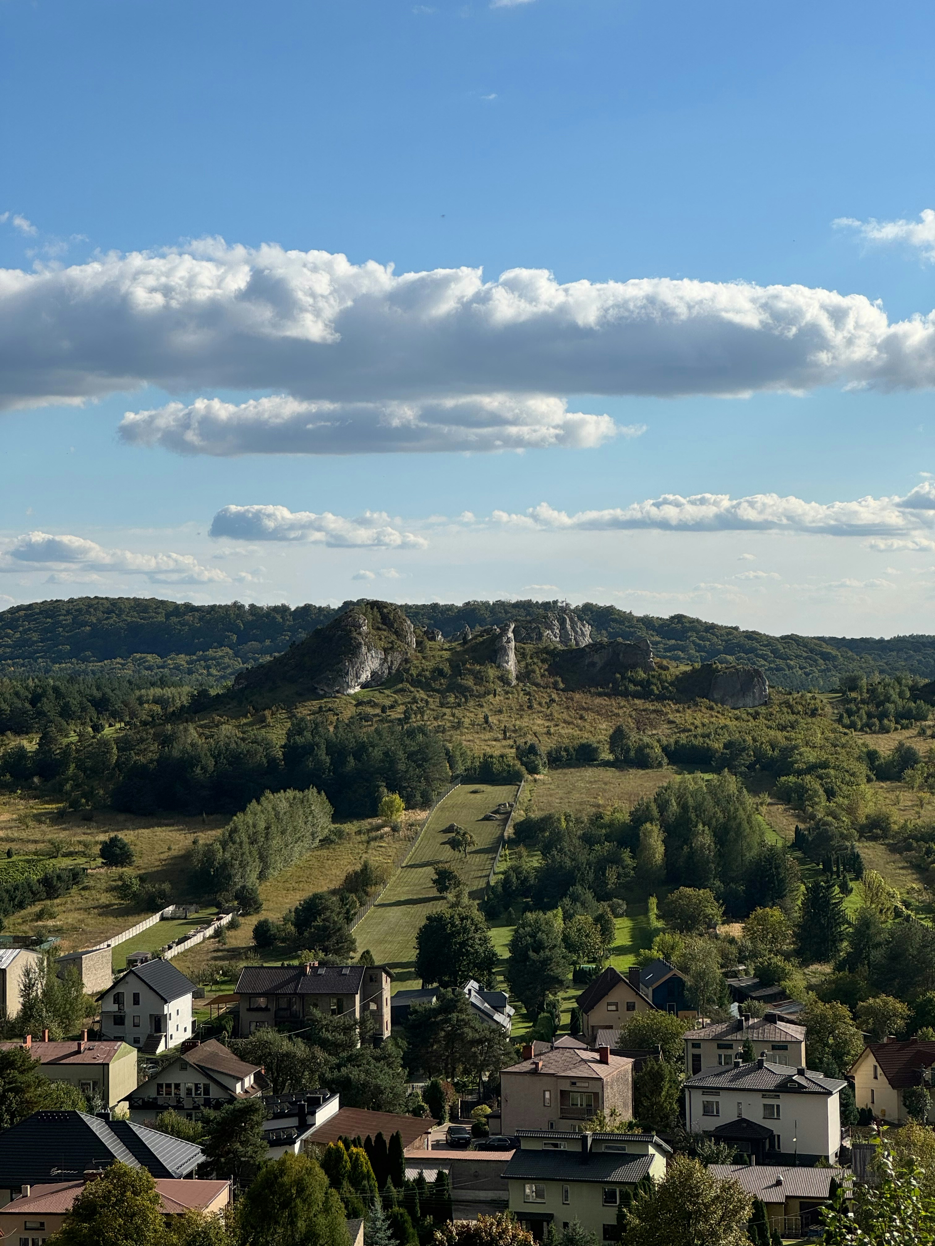 Hillside village beneath rocky outcrop and green forest