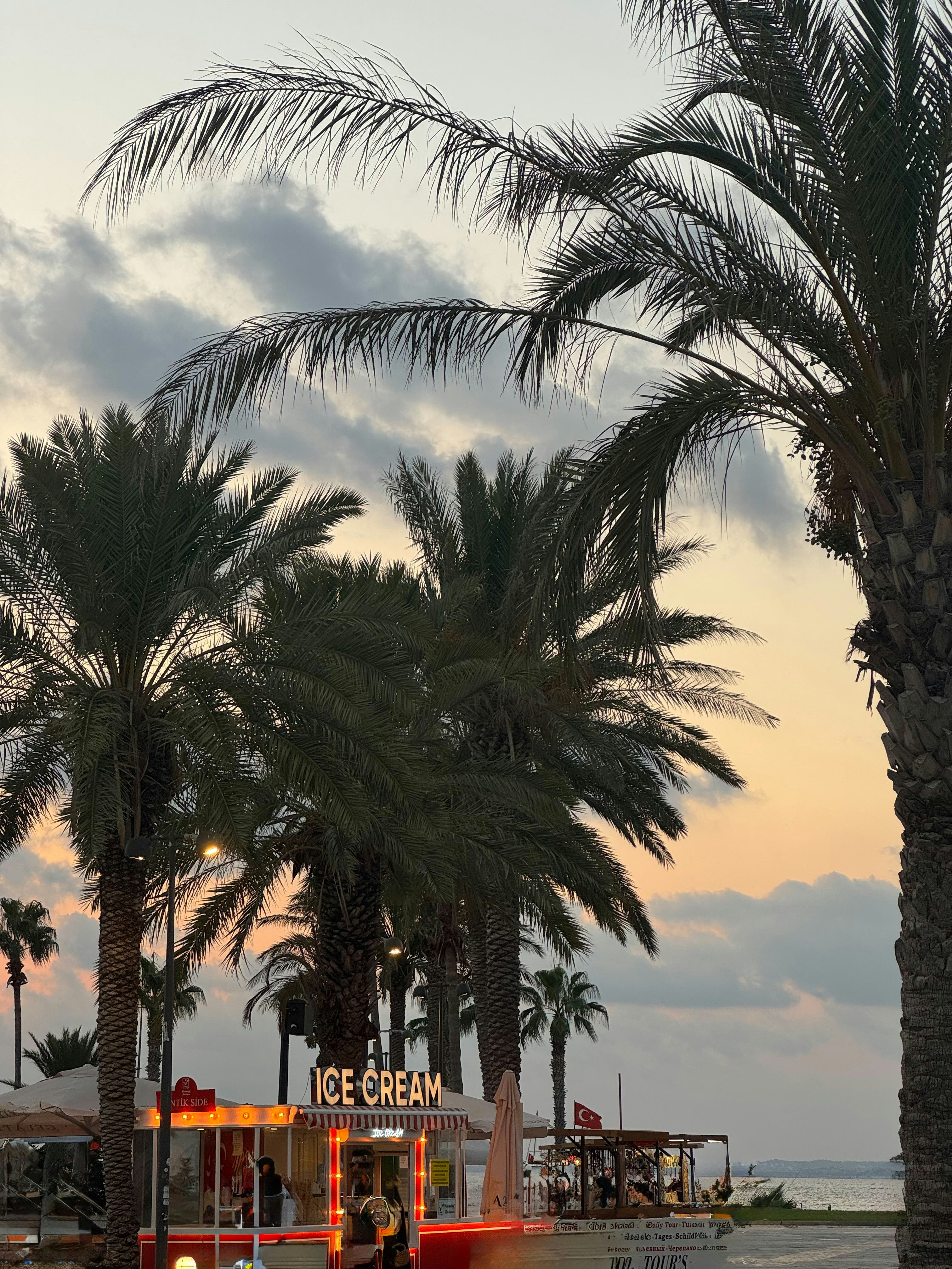 Palm trees and ice cream stand at sunset