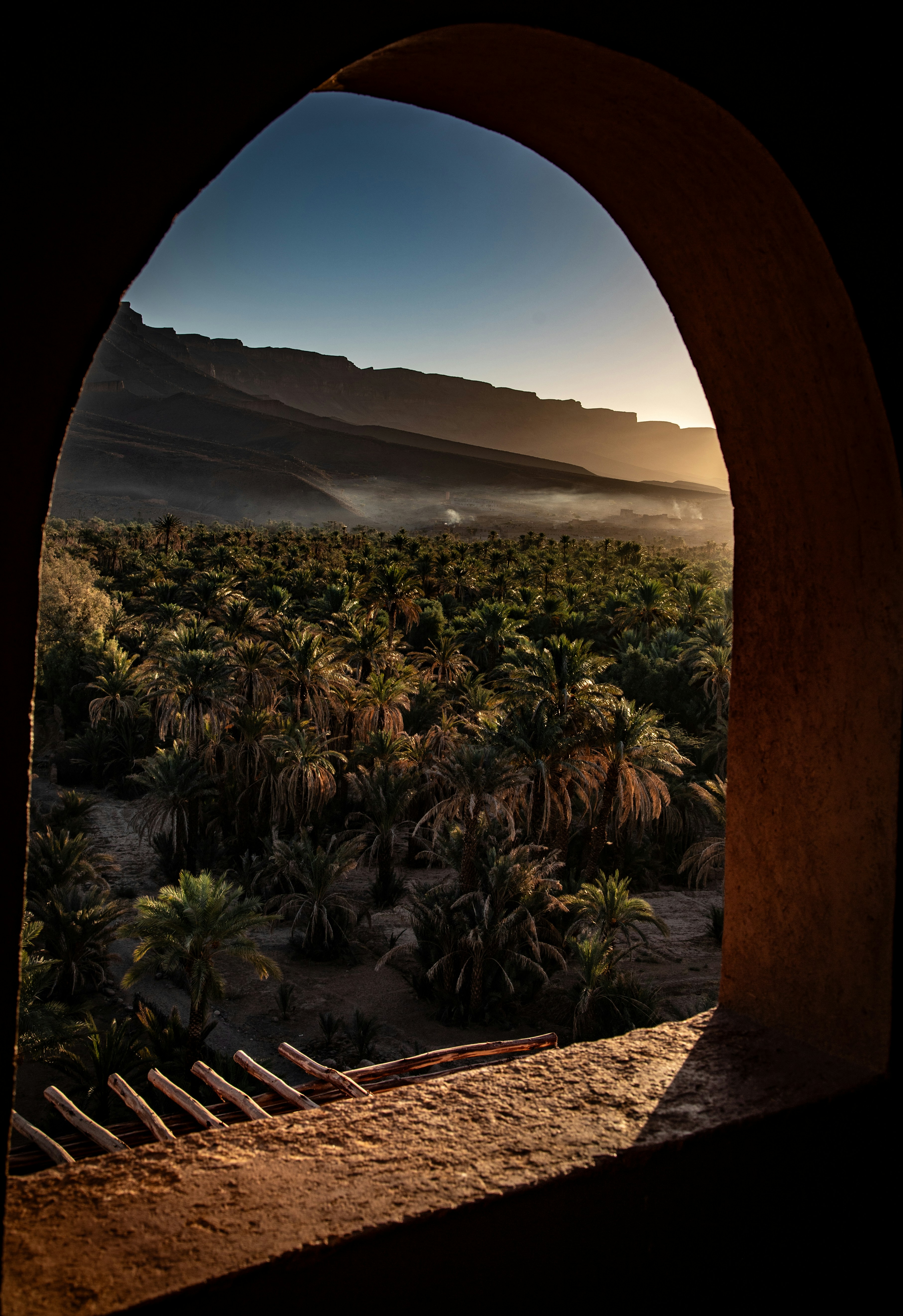 Oasis Through the Archway: A Glimpse of Serenity