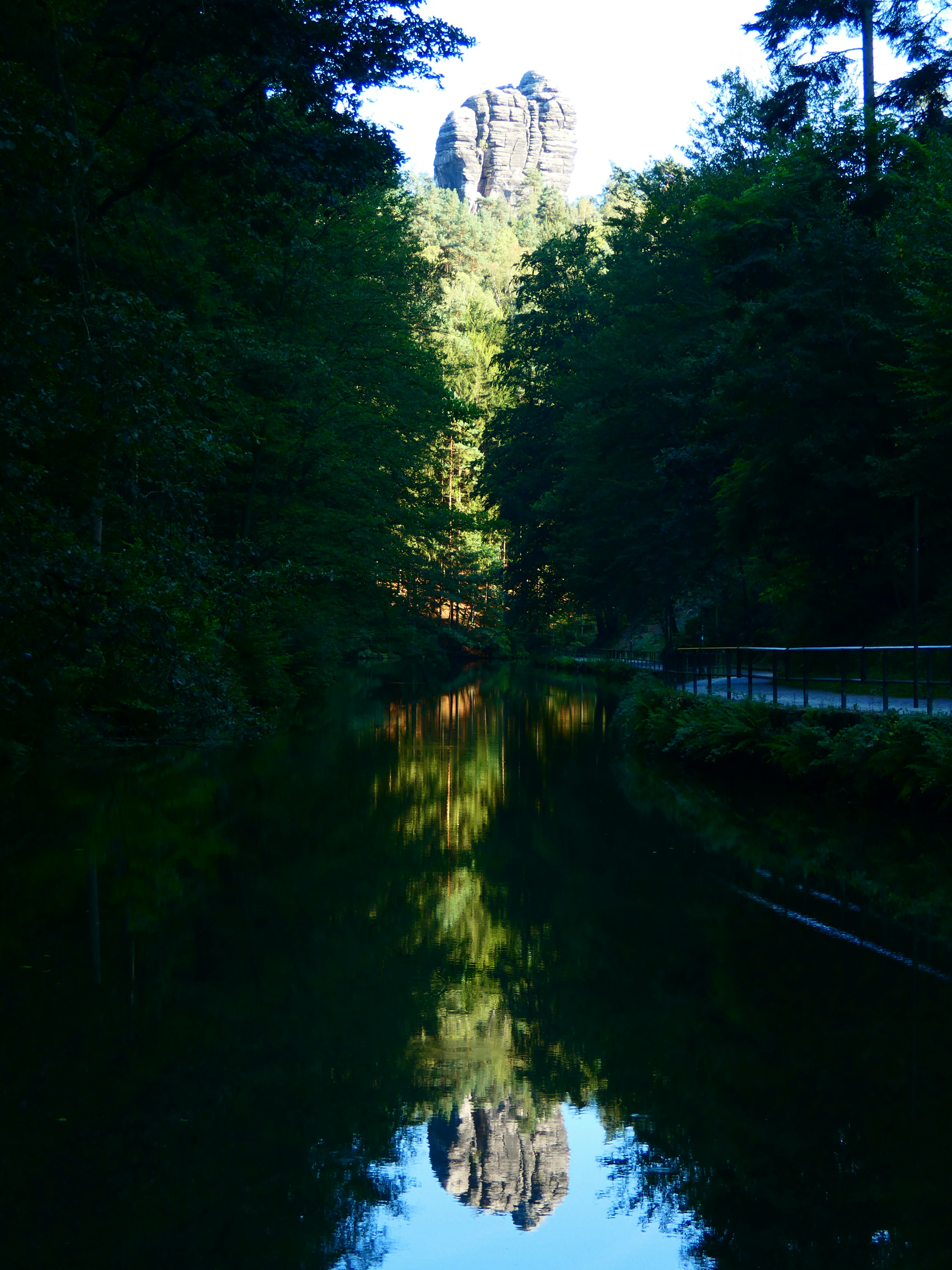 Nature's Mirror: The Silent Sentinel