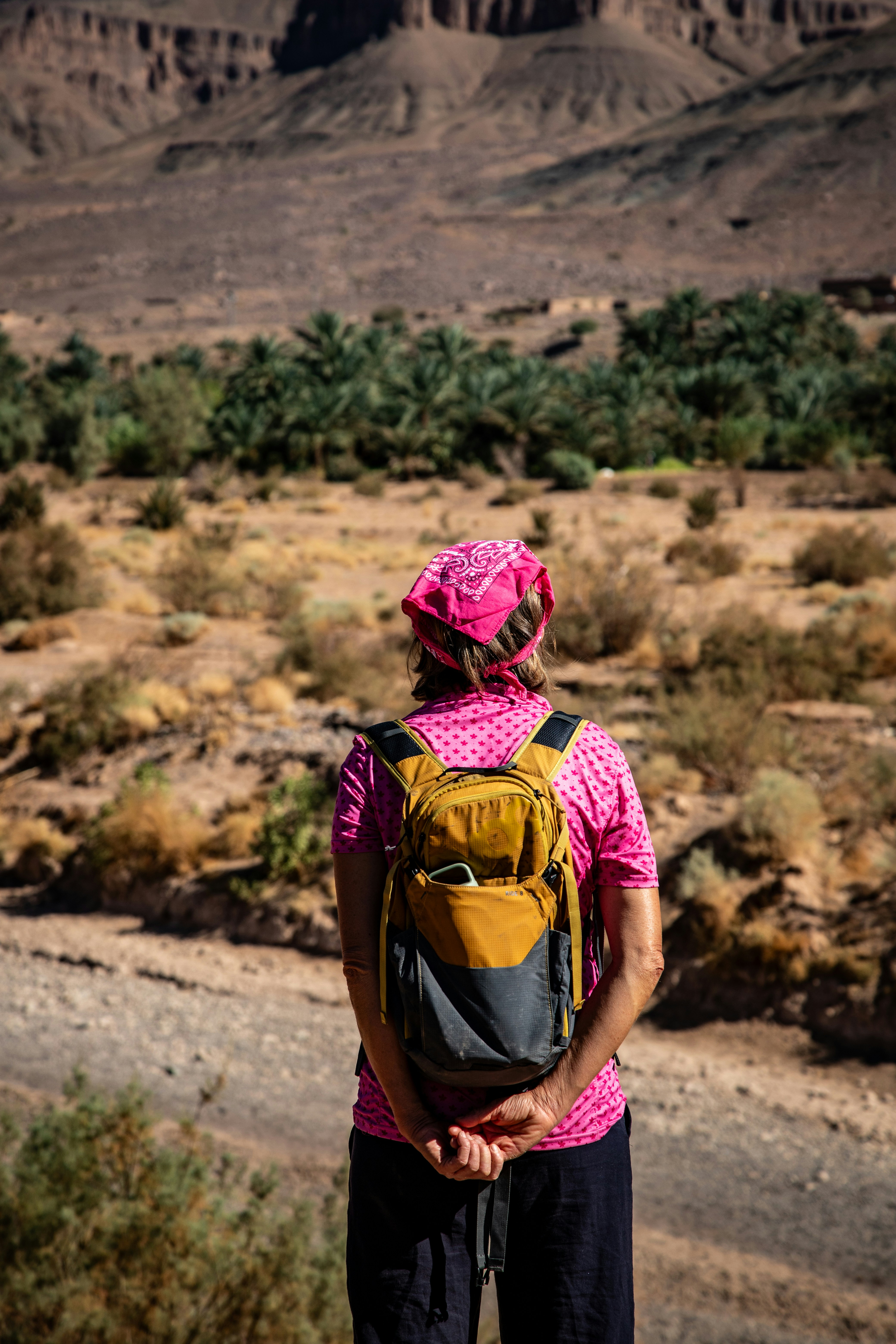 Journey into the Heart of the Desert