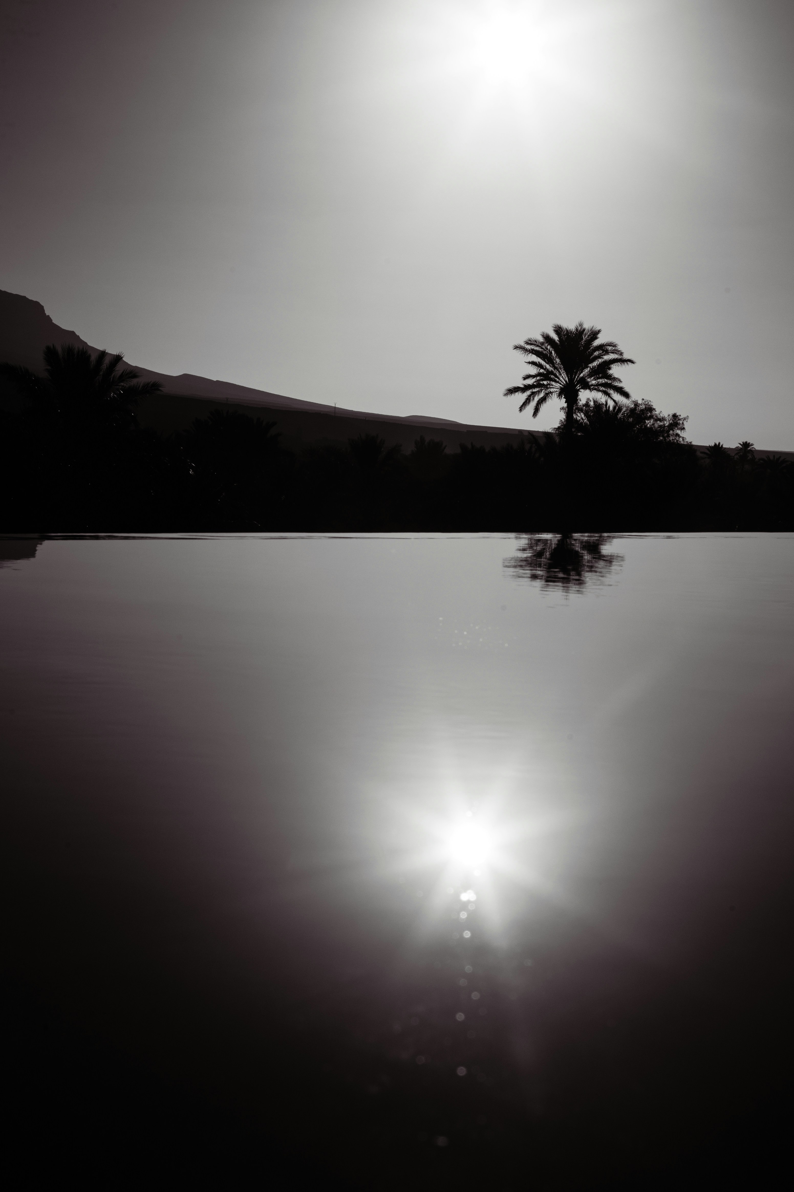 Reflections of Serenity