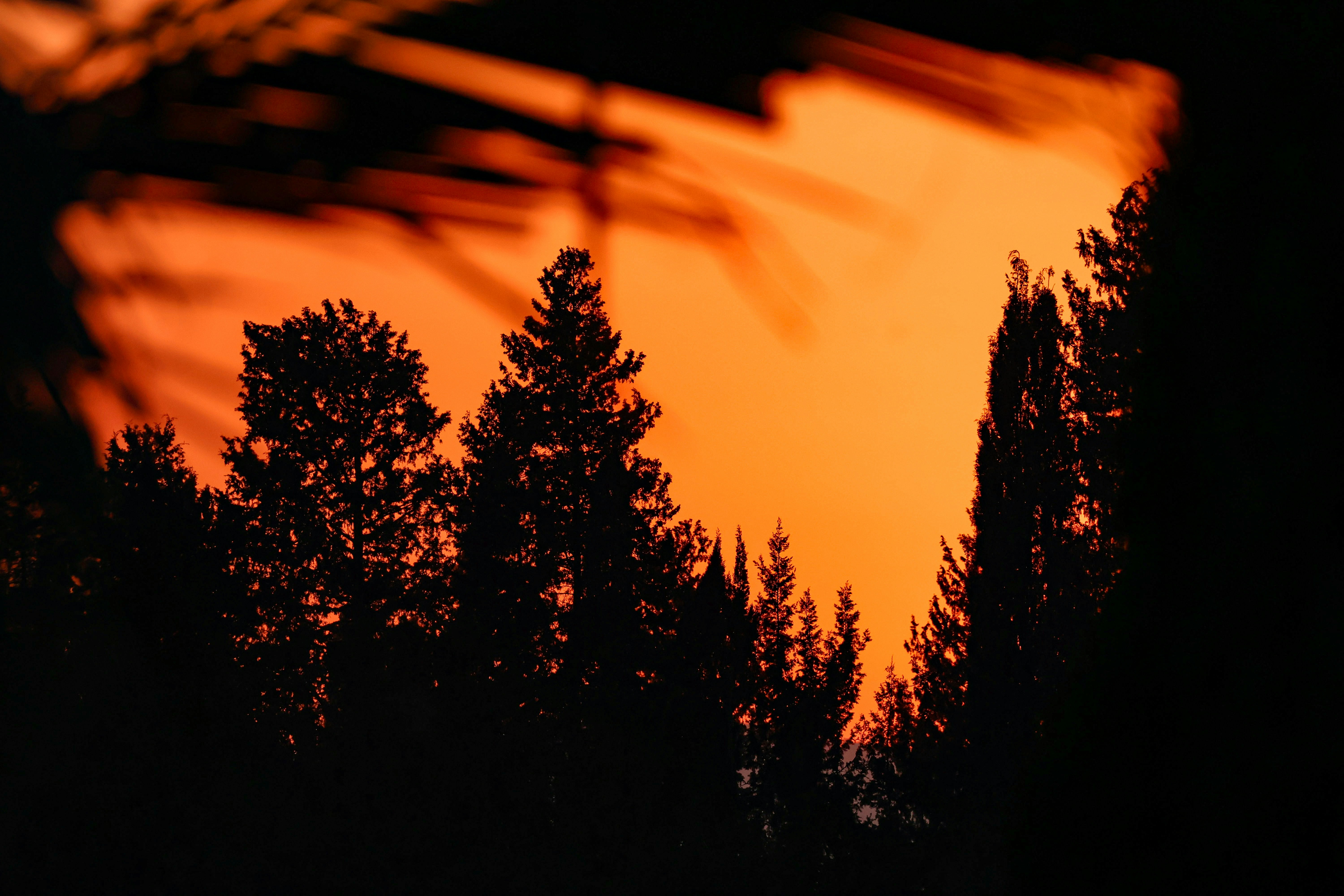 Twilight Silhouettes Against a Fiery Canvas