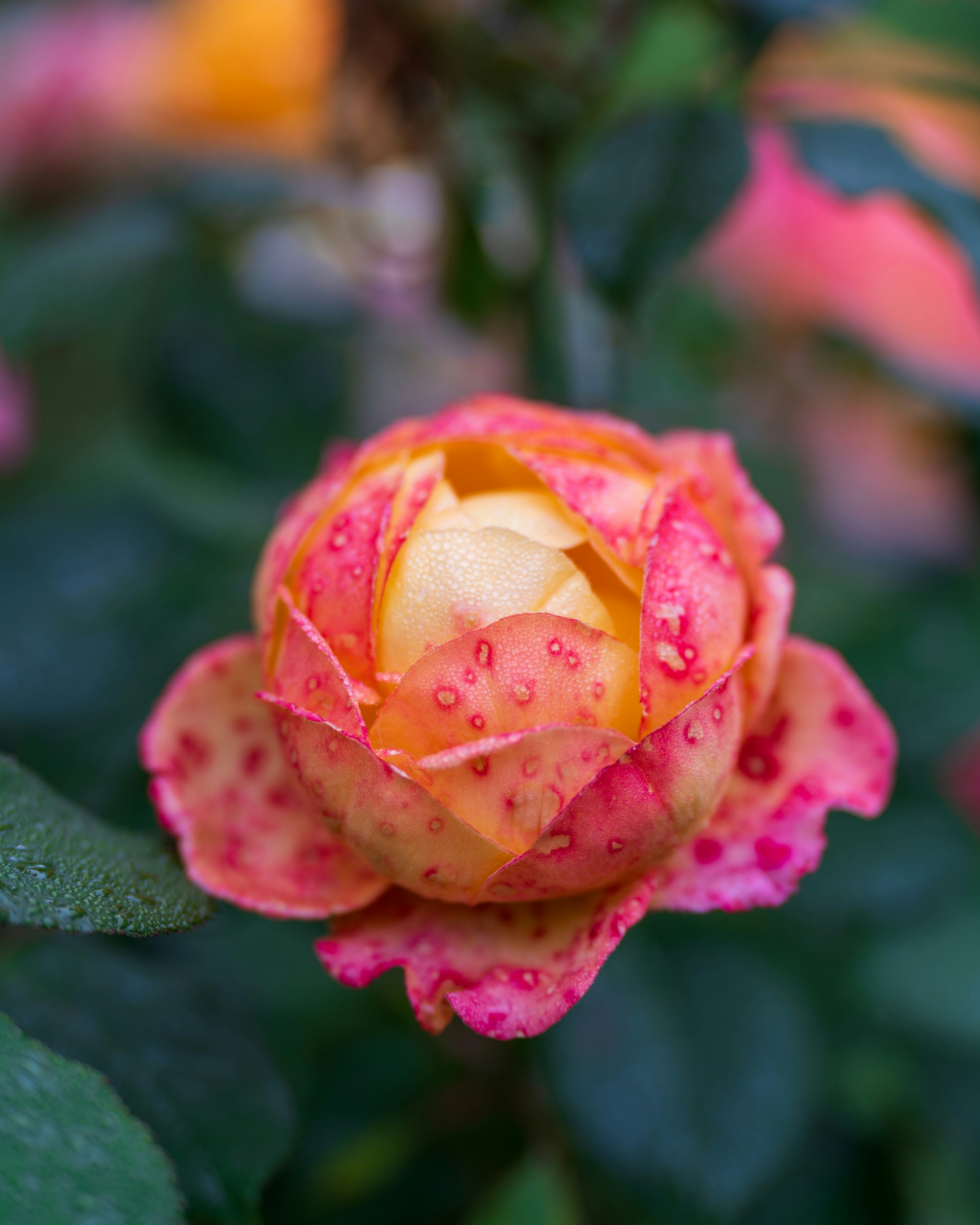 Blossoming Elegance: A Floral Masterpiece