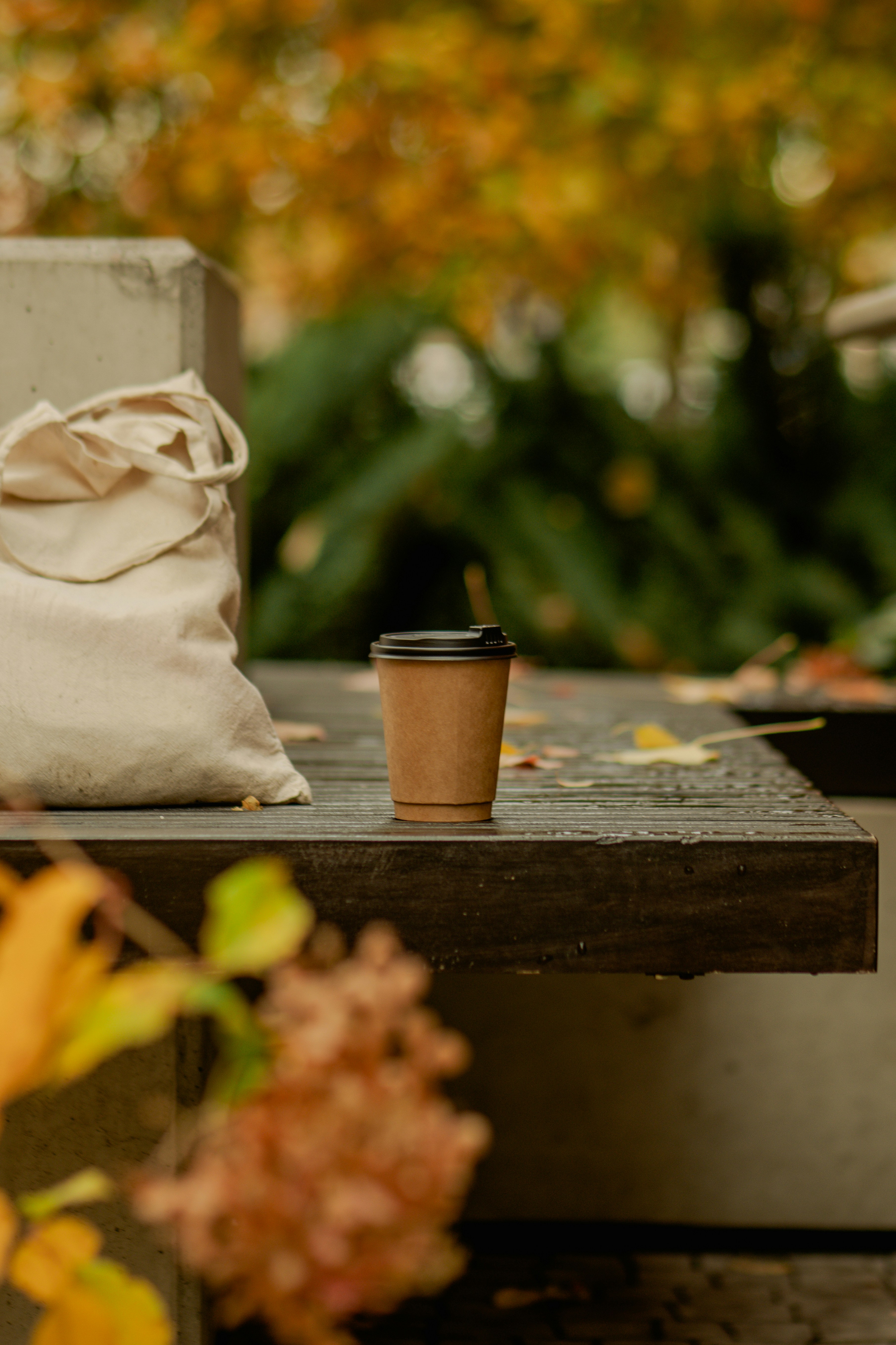 Autumn's Warm Embrace: A Cozy Moment
