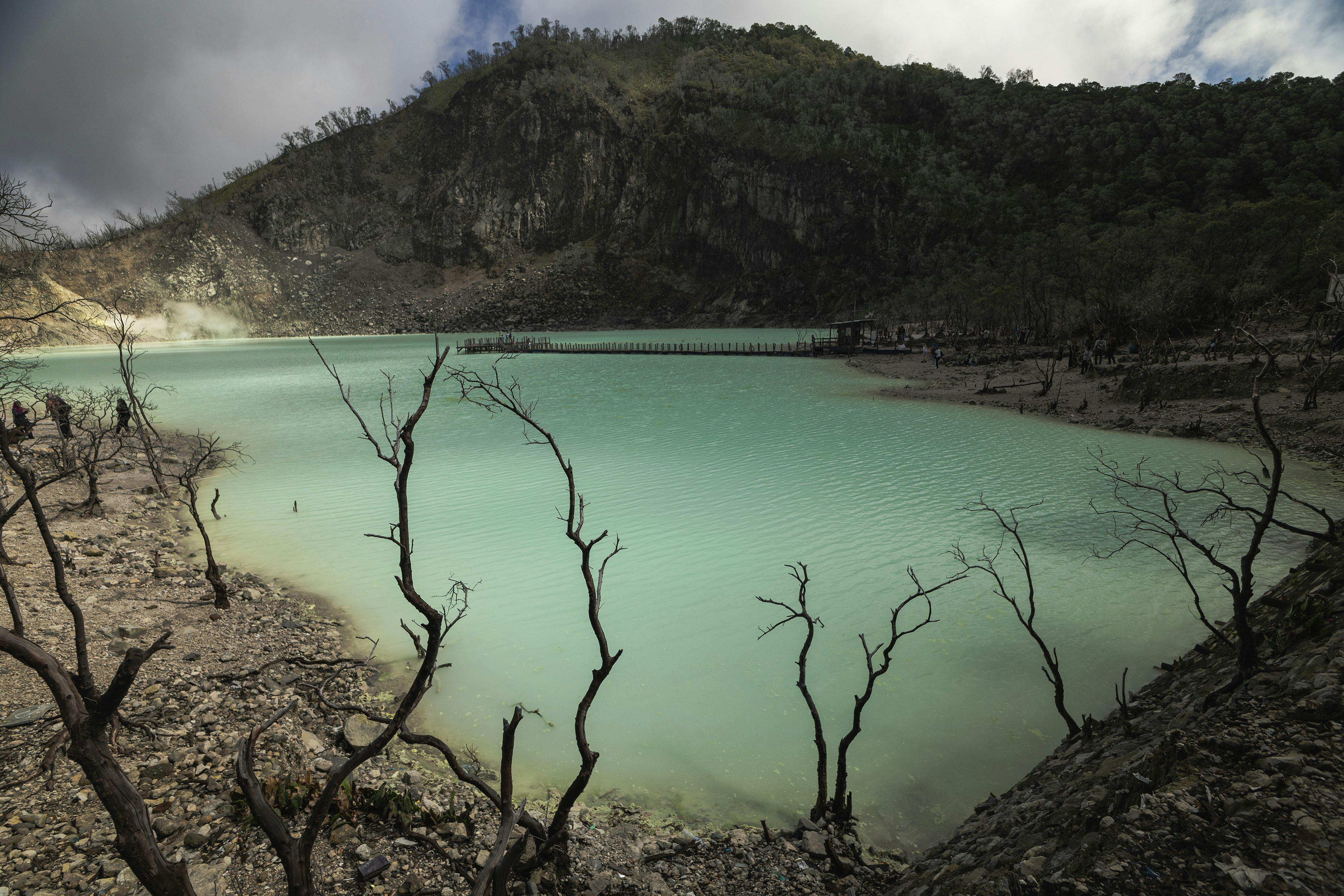 Emerald Caldera: Bare Trees Framing a Turquoise Lakeshore